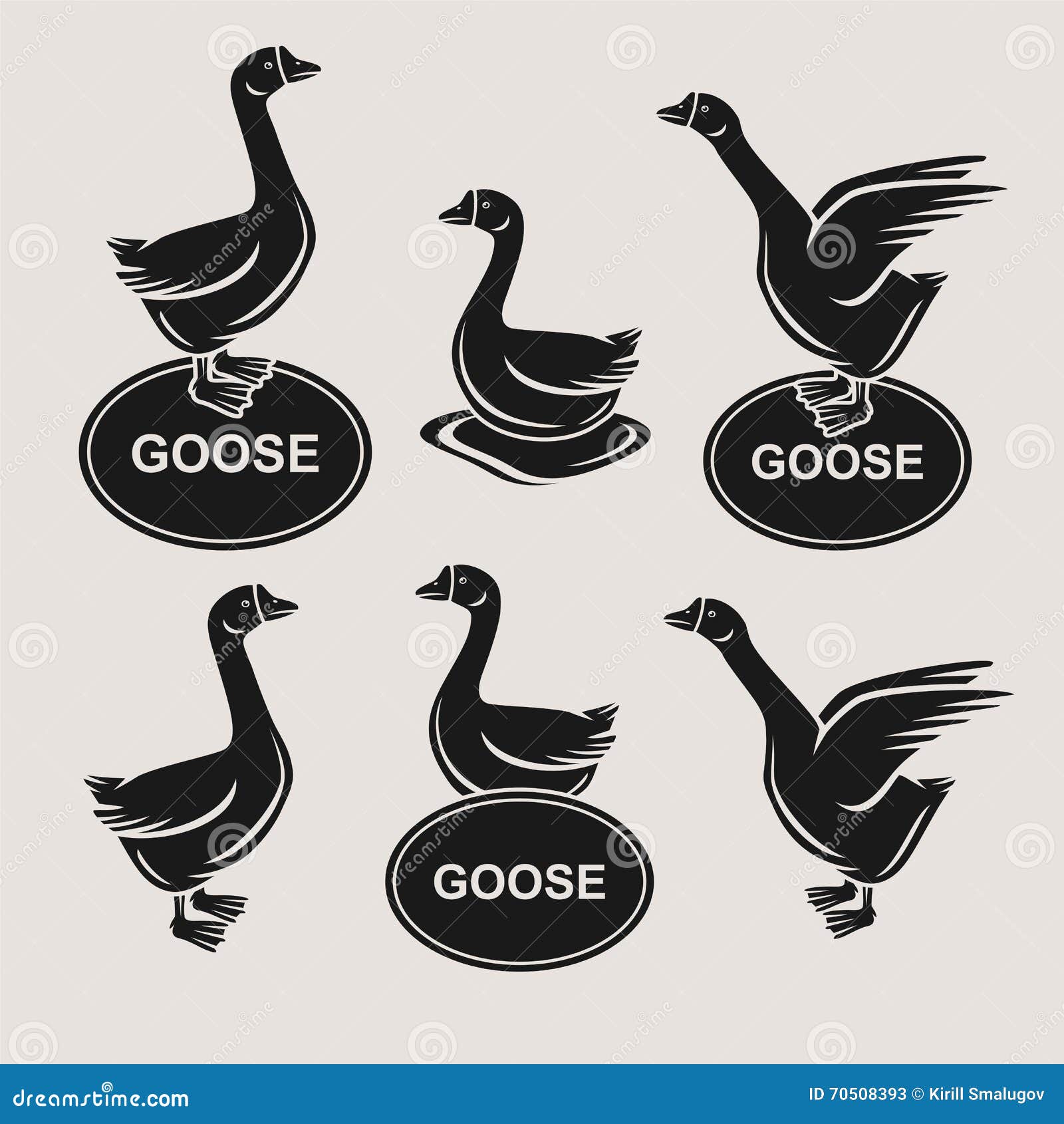 Goose set. Vector stock vector. Illustration of animal - 70508393