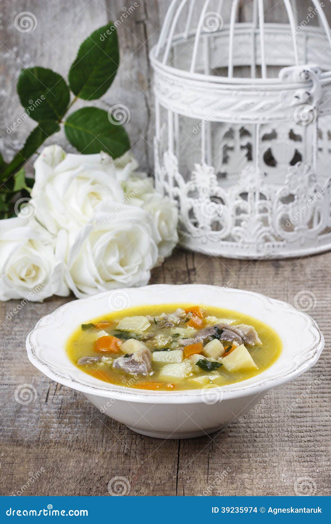 Goose soup stock photo. Image of decor, dainty, gourmet - 39235974