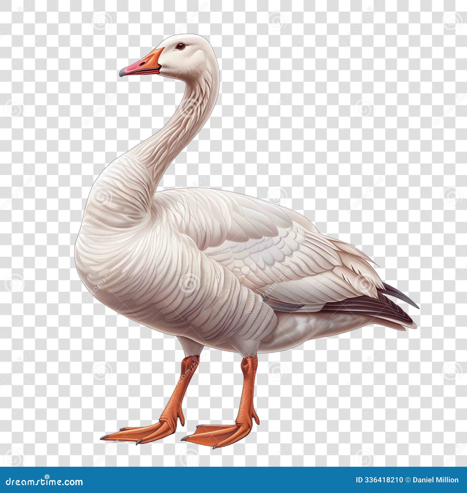 Goose Transparent Background Realistic Element Stock Illustration ...