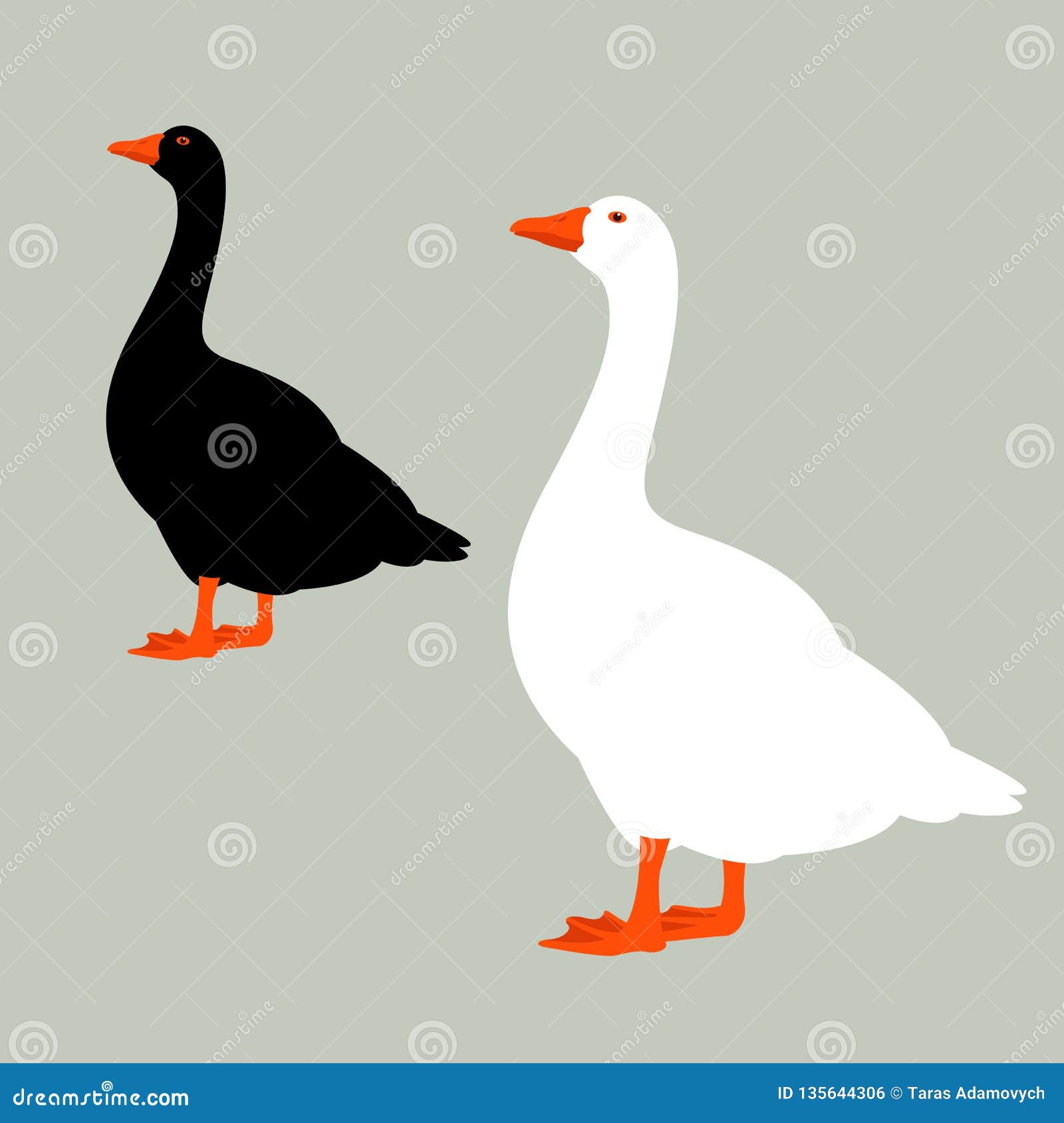 Goose Vector Illustration , Flat Style , Profile Stock Vector ...
