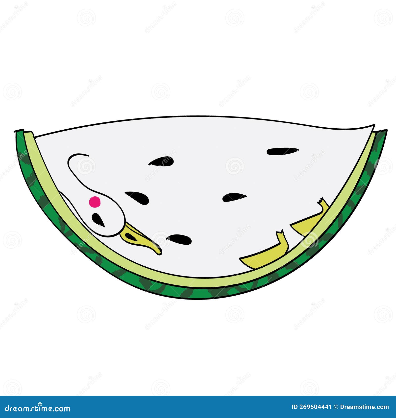 Goose - Vector Illustration, Watermelon Shaped Bird Stock Vector ...