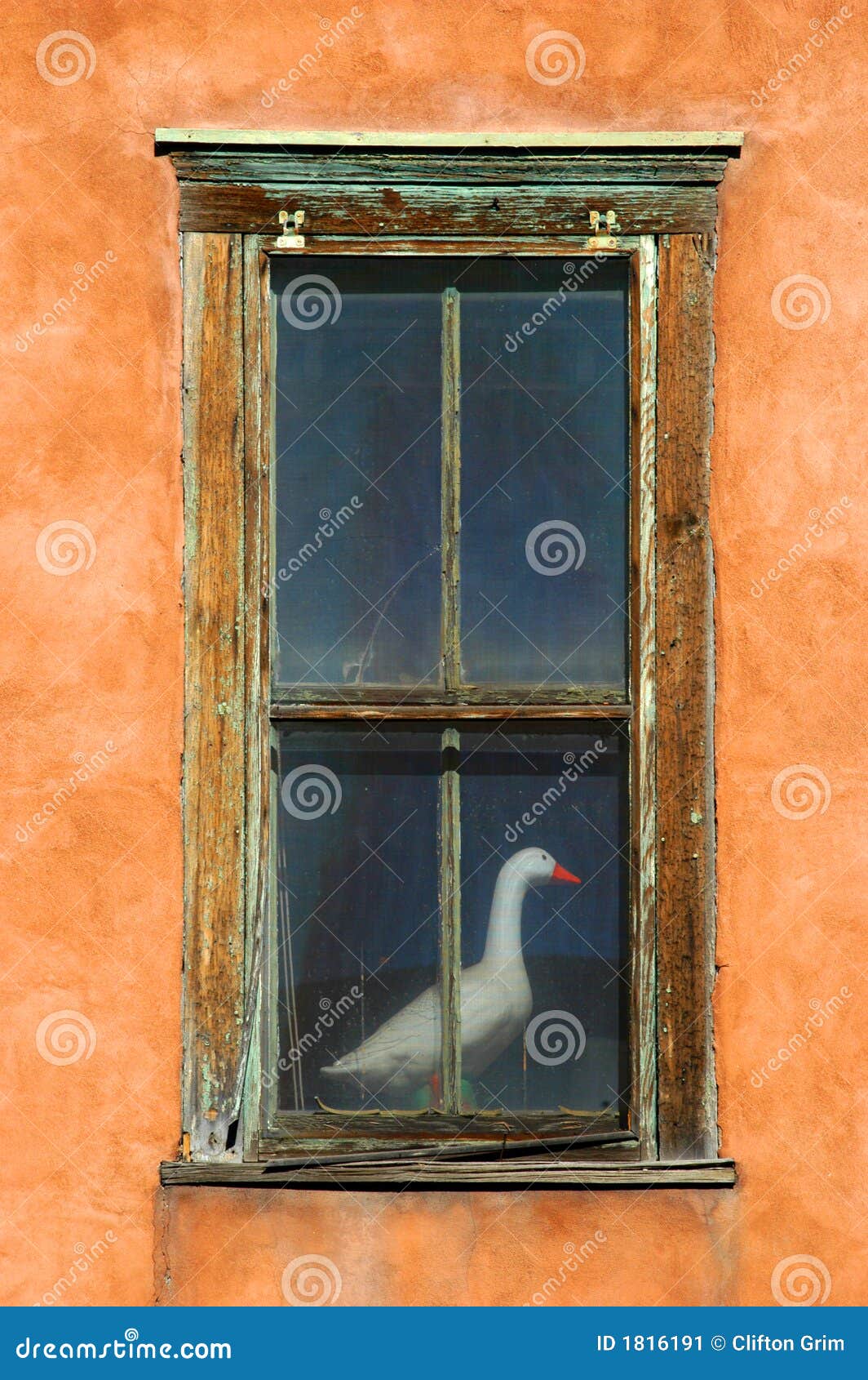 1,511 Stuffed Window Stock Photos - Free & Royalty-Free Stock Photos ...