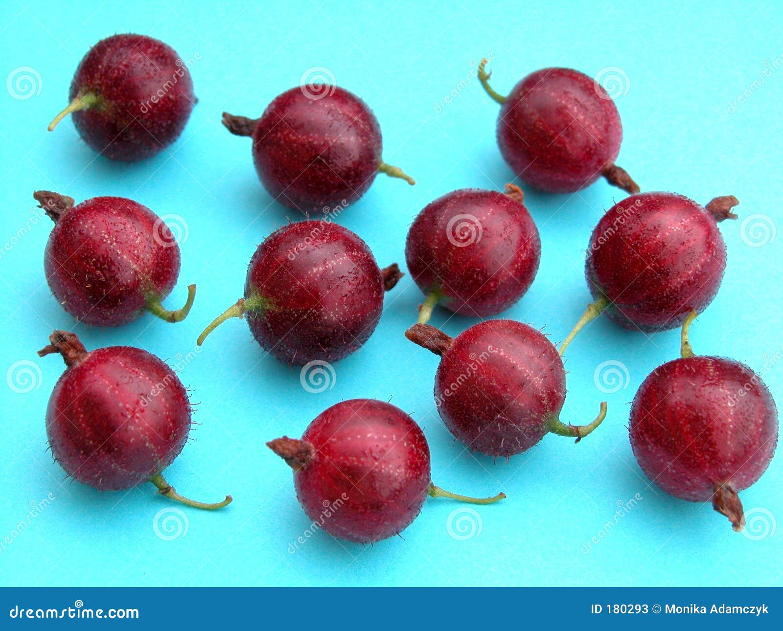 Gooseberries stock image. Image of jelly, ingredients, fresh - 180293