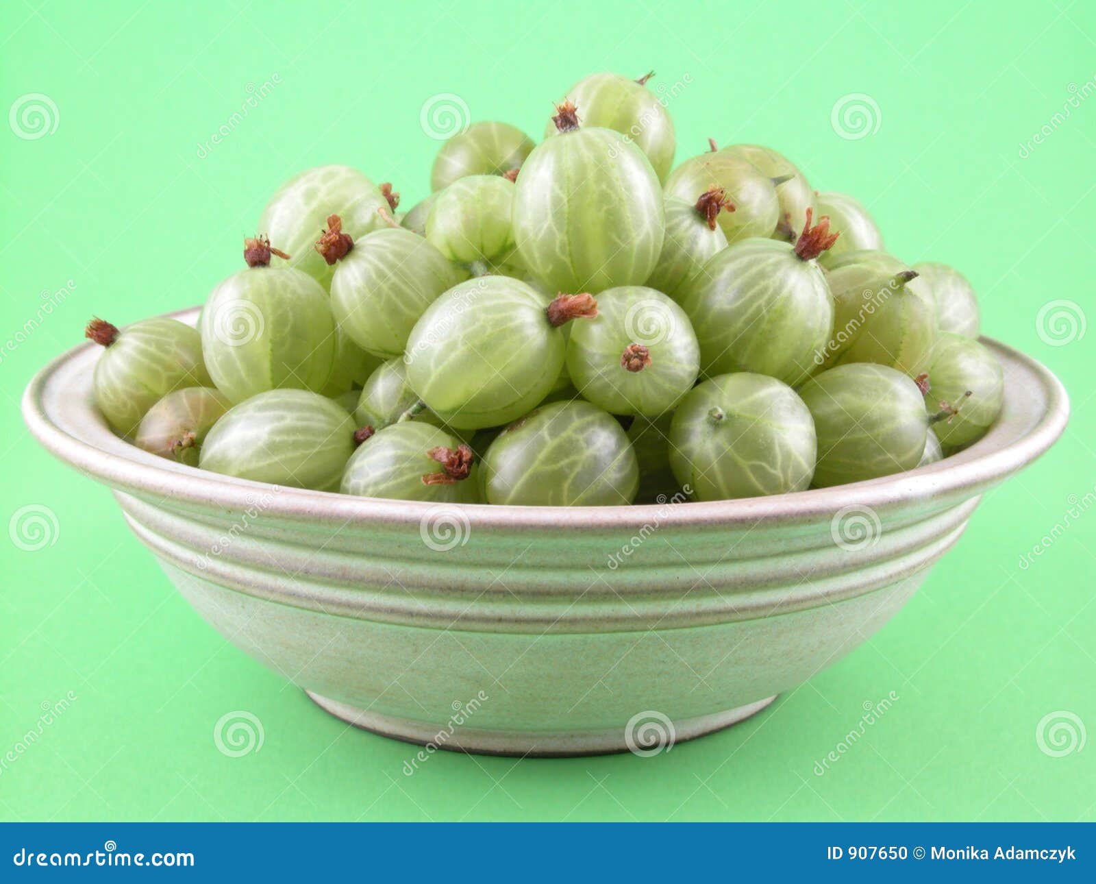 Gooseberries stock photo. Image of healthy, tart, fresh - 907650