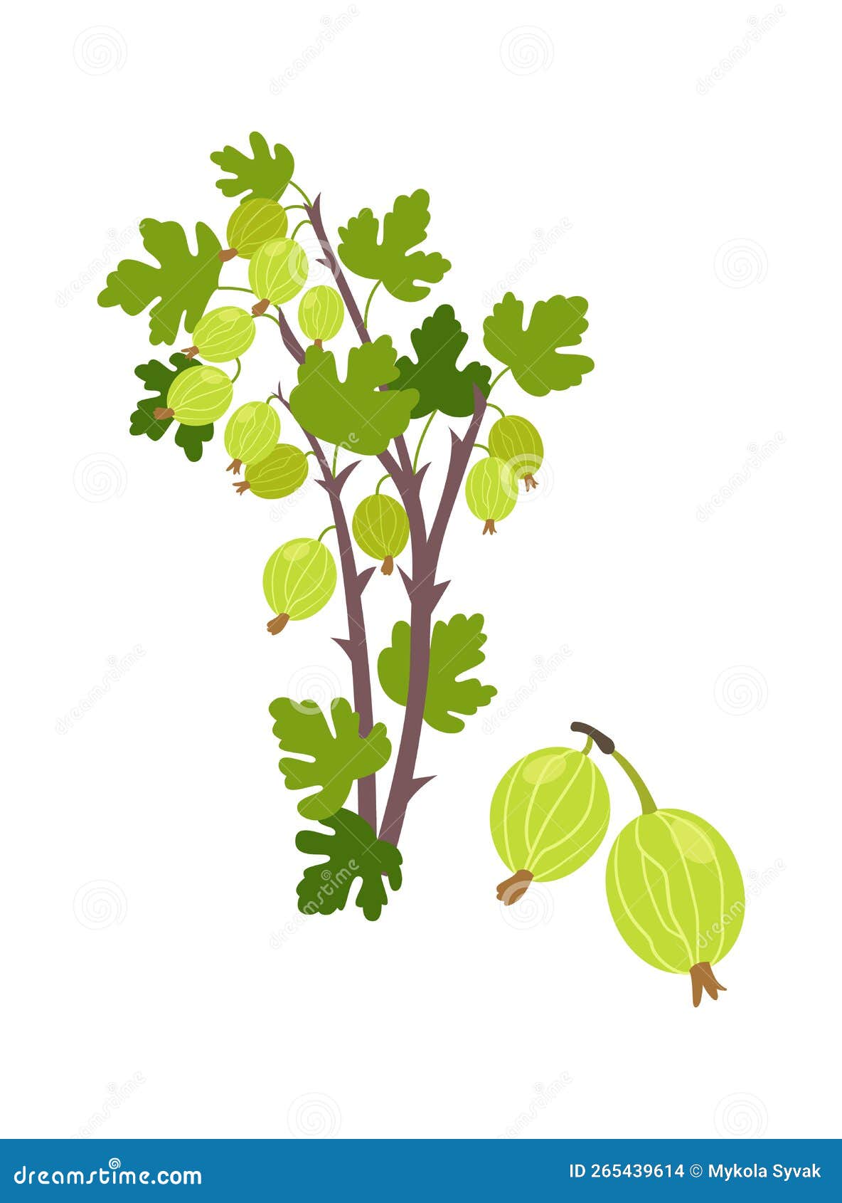 Gooseberries Bush Flat Icon Garden Stock Vector - Illustration of ...