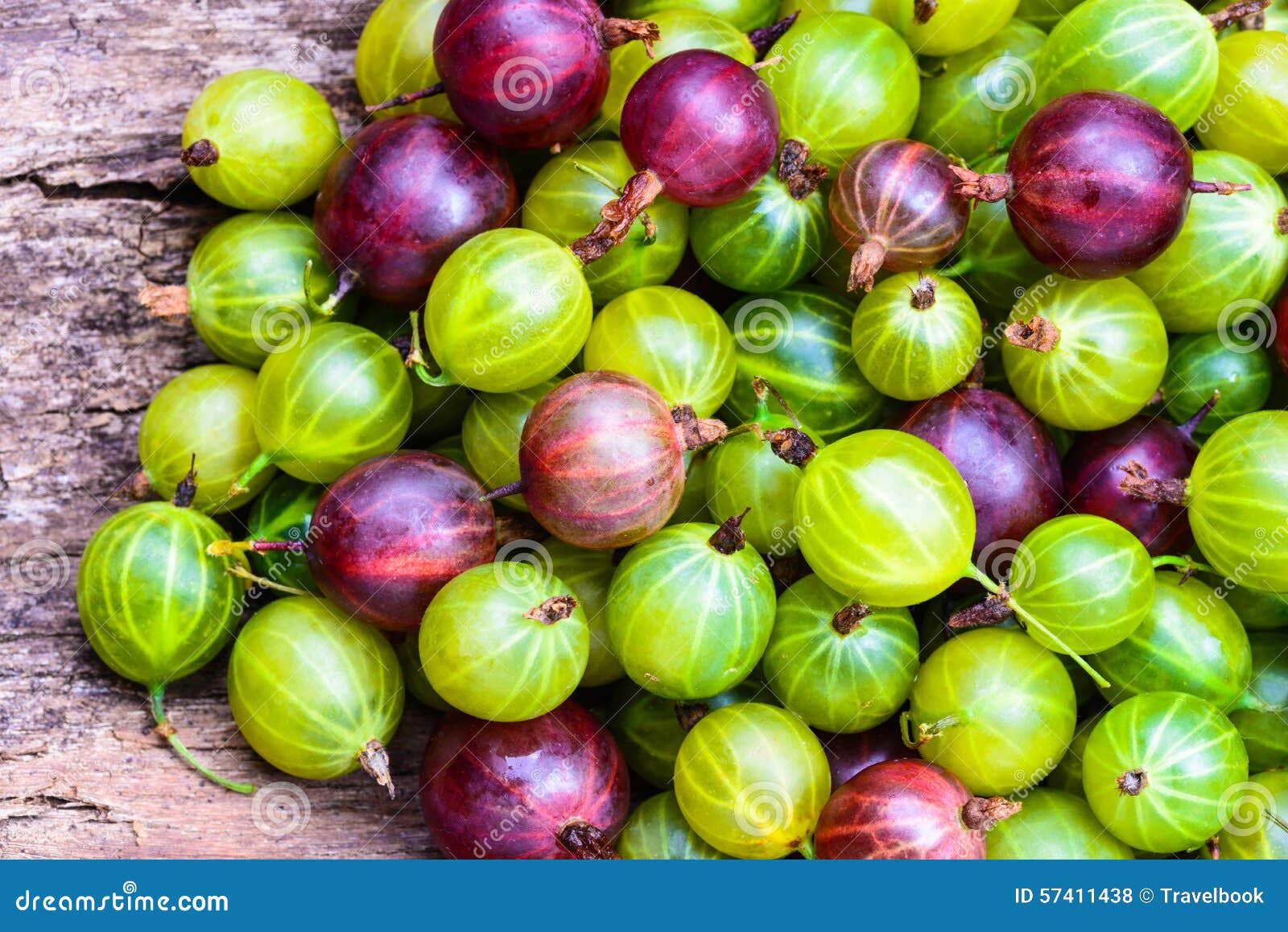 Gooseberries stock photo. Image of autumn, food, berries - 57411438