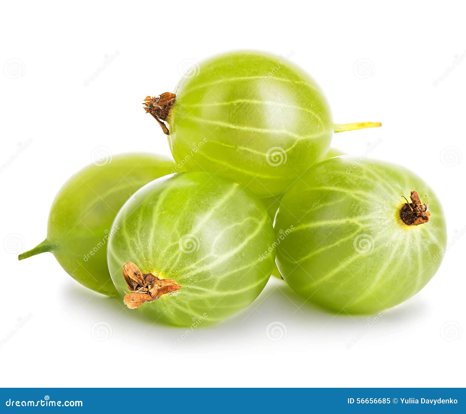 Gooseberries Isolated on White Stock Image - Image of healthy, color ...