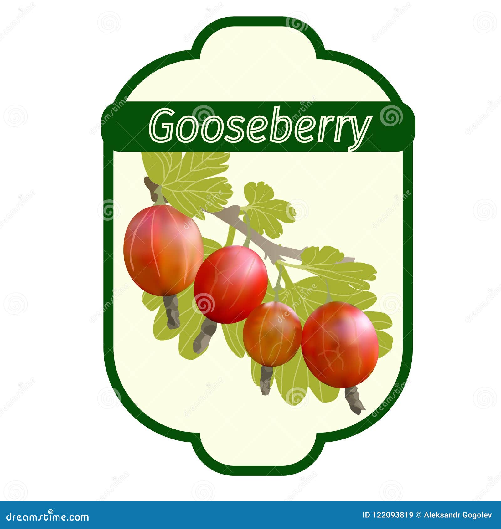 Vector gooseberry label stock vector. Illustration of aromatherapy ...