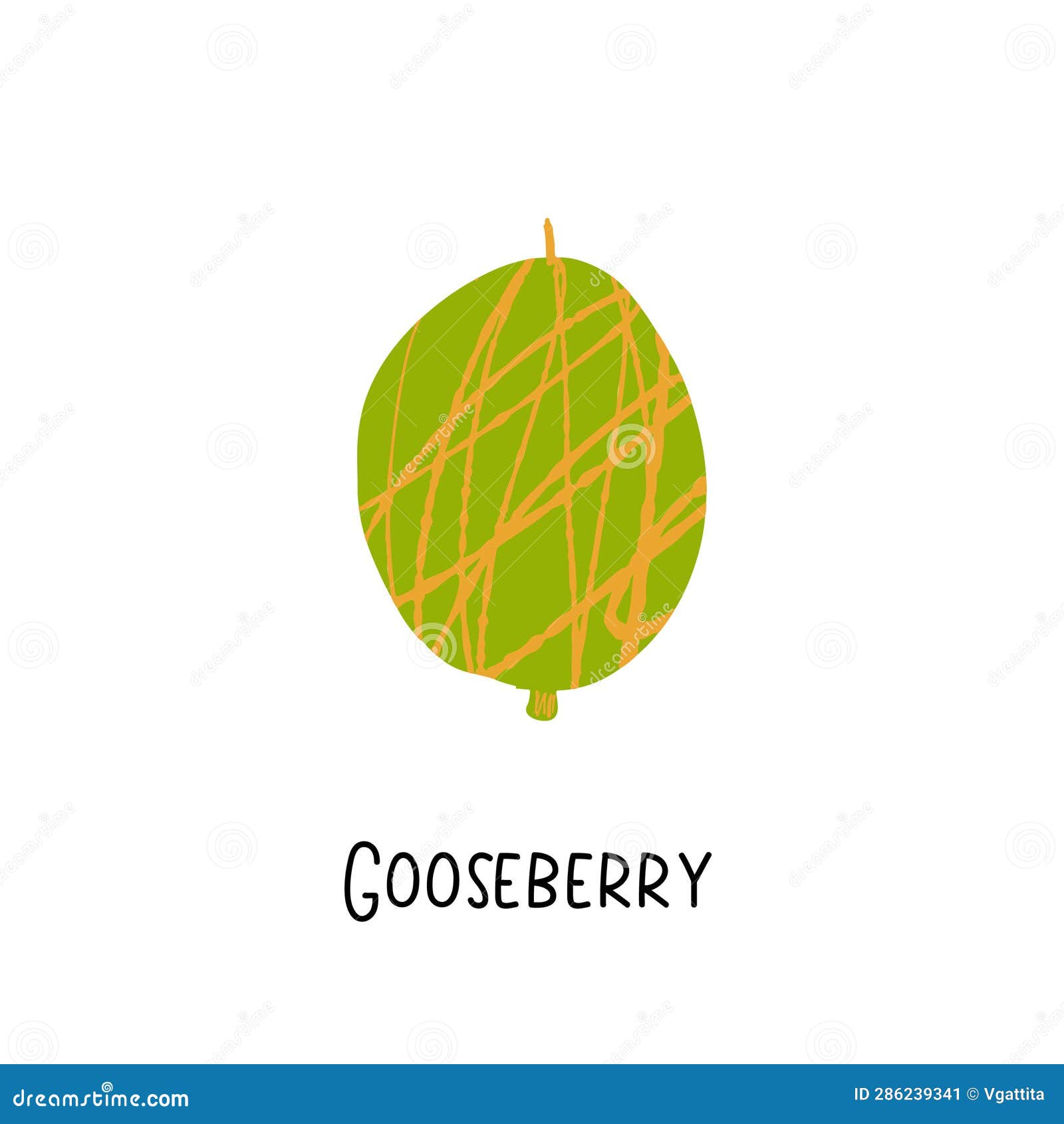 Gooseberry Illustration with Texture Isolated on White Background Stock ...