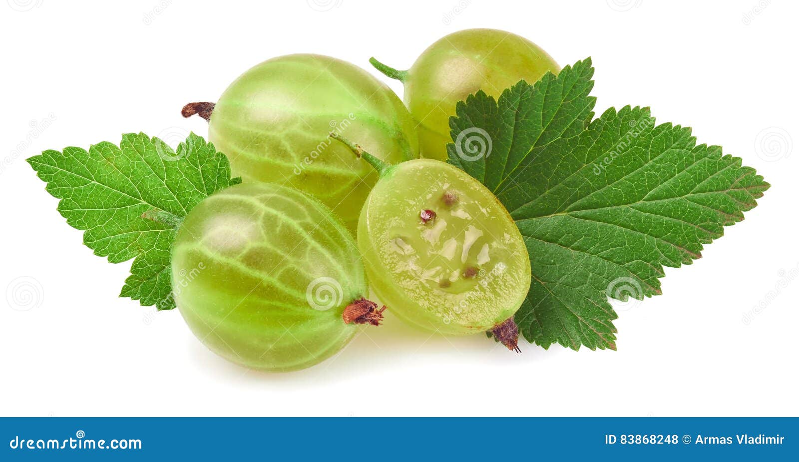 Gooseberry Isolated in Close Up Stock Photo - Image of medicine ...