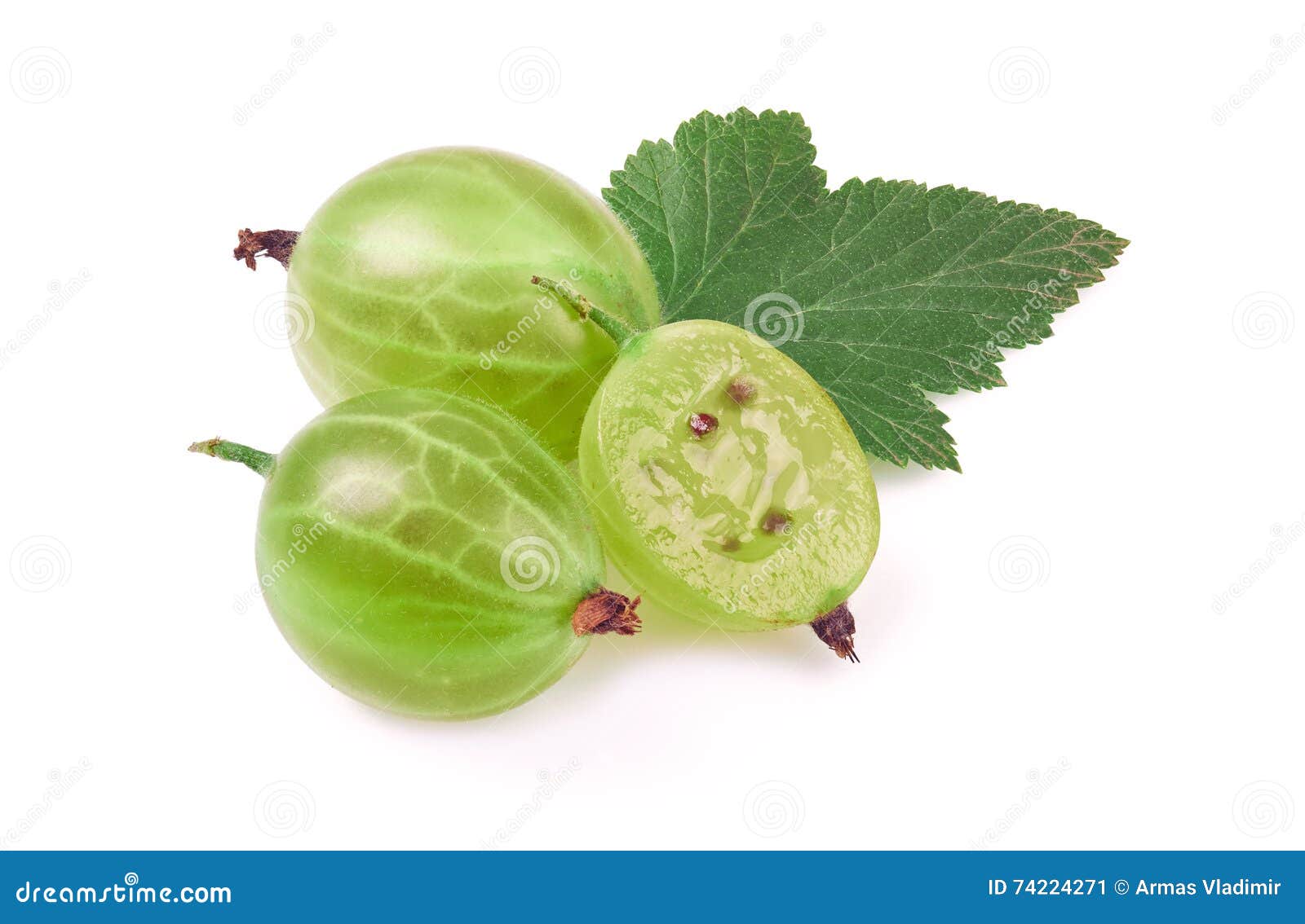 Gooseberry isolated stock image. Image of meal, amla - 74224271