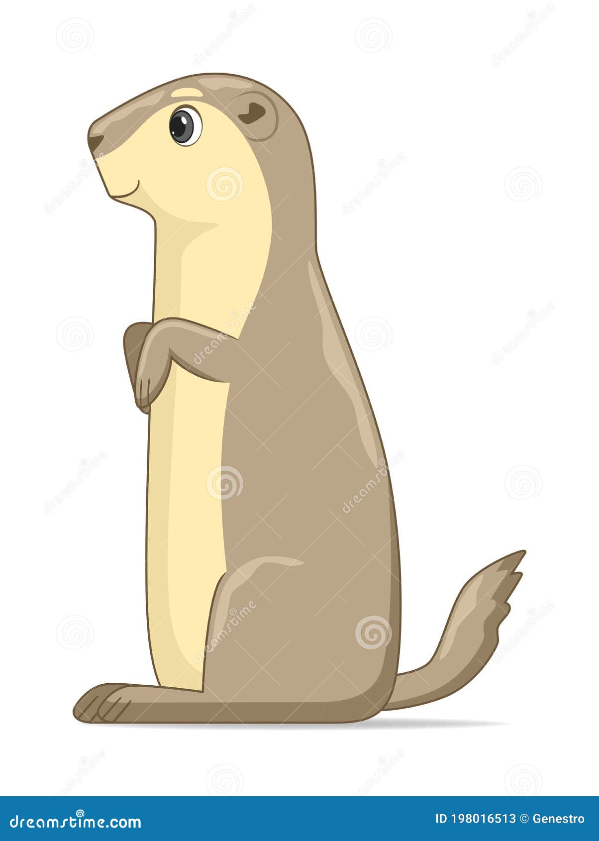Gopher Sitting, Realistic Drawing Royalty-Free Cartoon | CartoonDealer ...