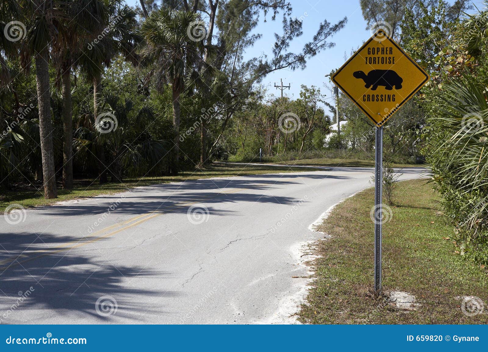 Gopher Tortoise Sign Stock Photos - Free & Royalty-Free Stock Photos ...