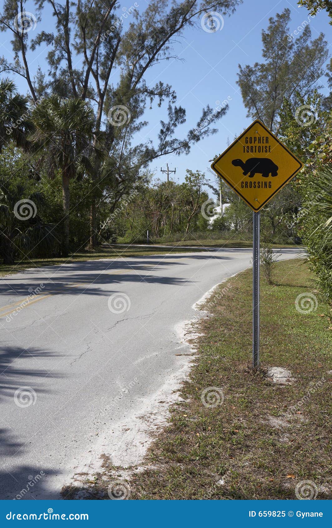 Gopher Tortoise Sign on Dunlop Road Stock Image - Image of post ...