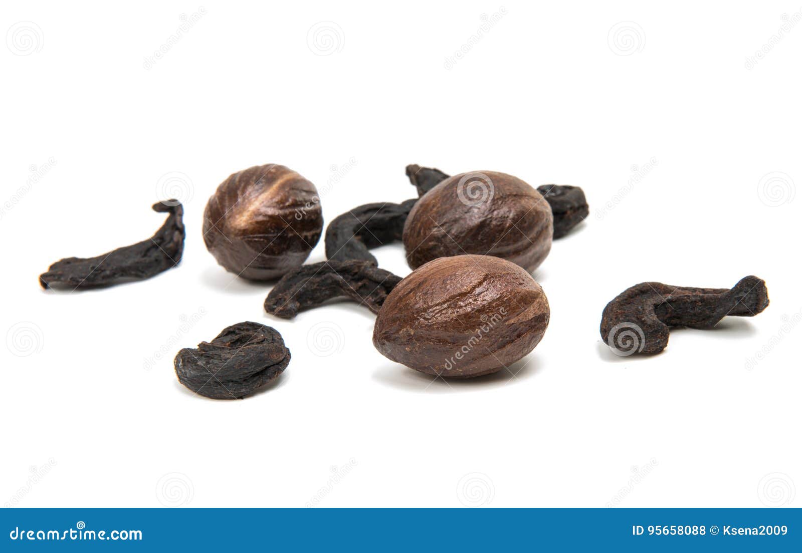 Goraka, Garcinia Cambogia, Dried Fruit Peel Stock Photo - Image of ...