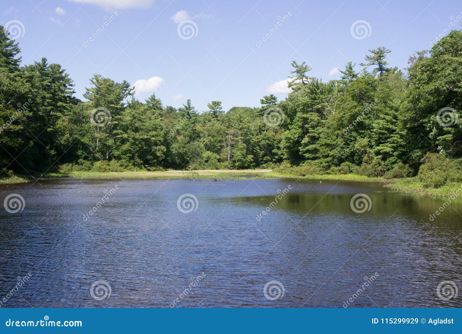 Gordon Pond in Norris Park, Norwell MA Immagine Stock - Immagine di ...