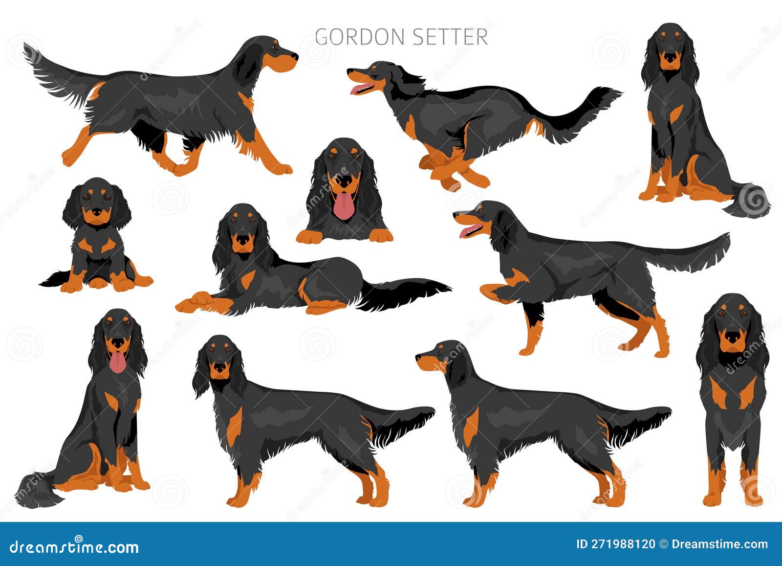 Gordon Setter Clipart. Different Poses, Coat Colors Set Stock Vector ...