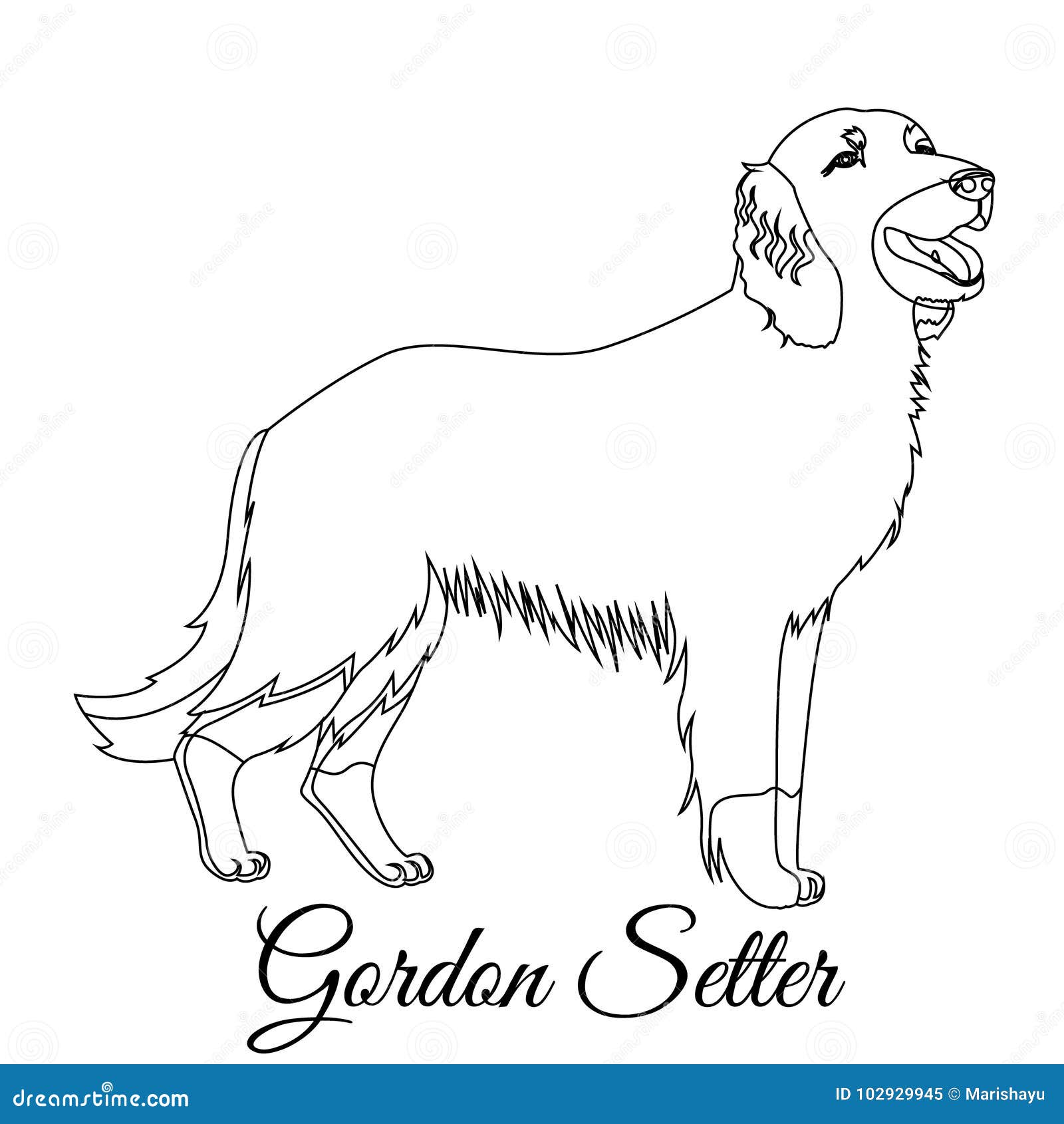 Gordon Setter Animal. AI Generated. Royalty-Free Illustration ...