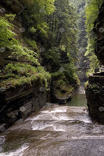 Gorge stock image. Image of trees, gorge, serene, scenery - 165863