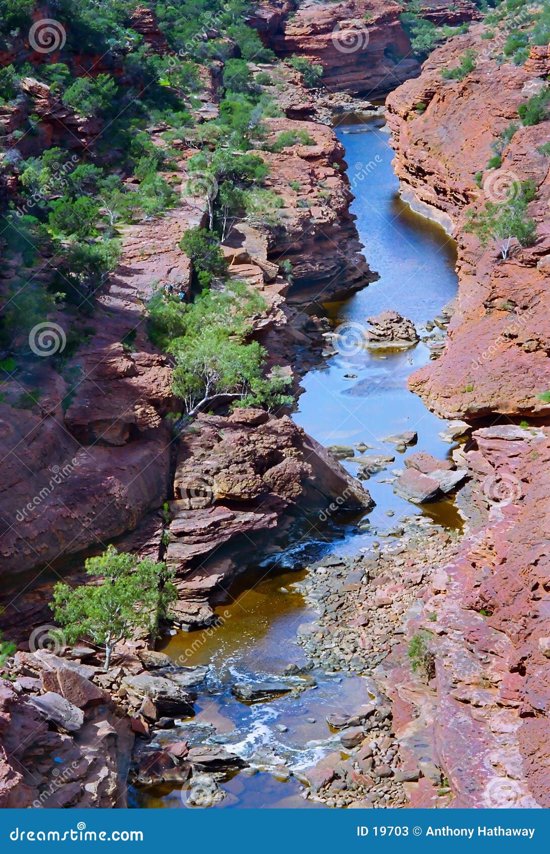 Gorge stock image. Image of stream, western, nature, australia - 19703