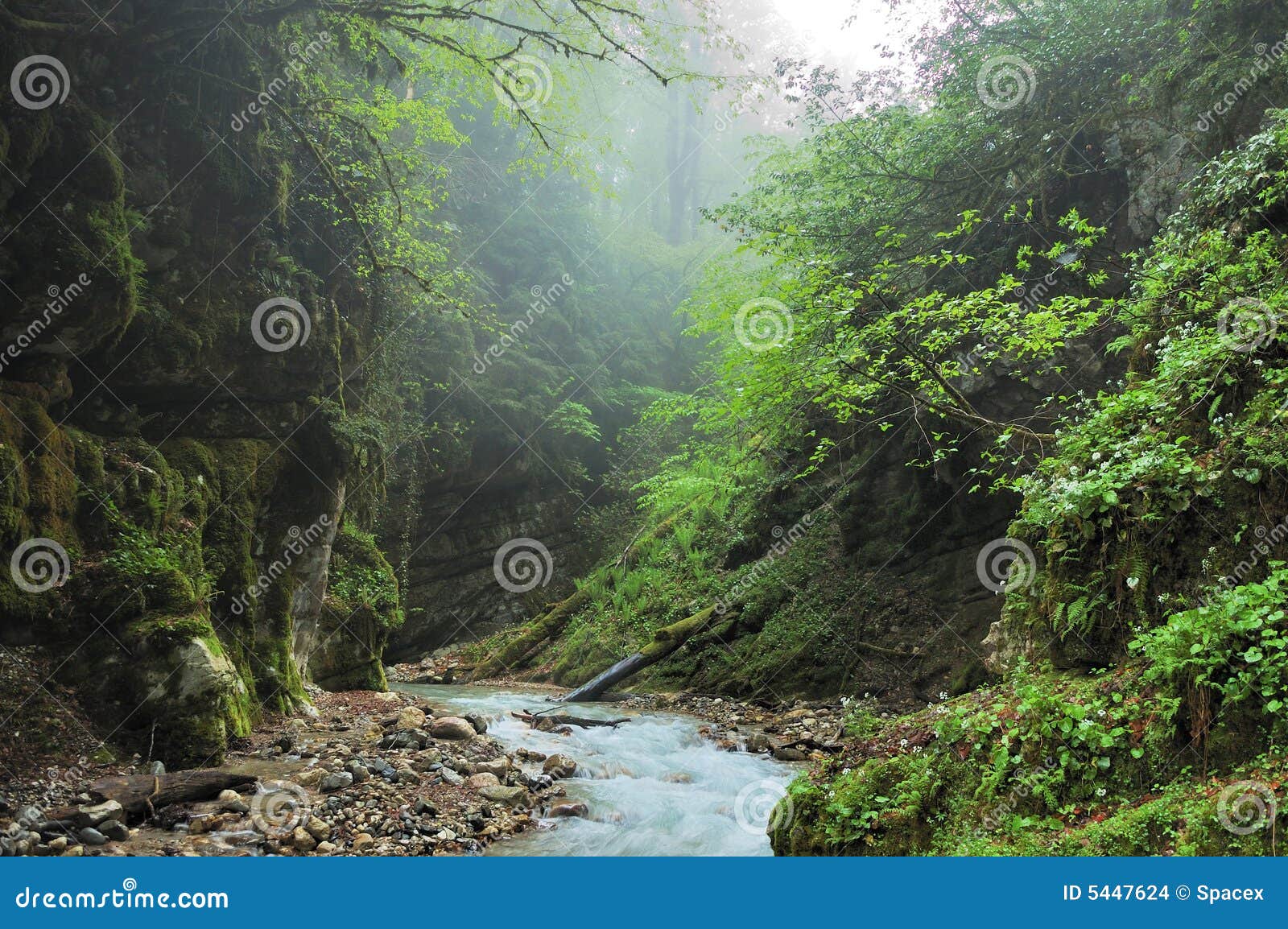 In Gorge stock photo. Image of origin, morning, landscape - 5447624