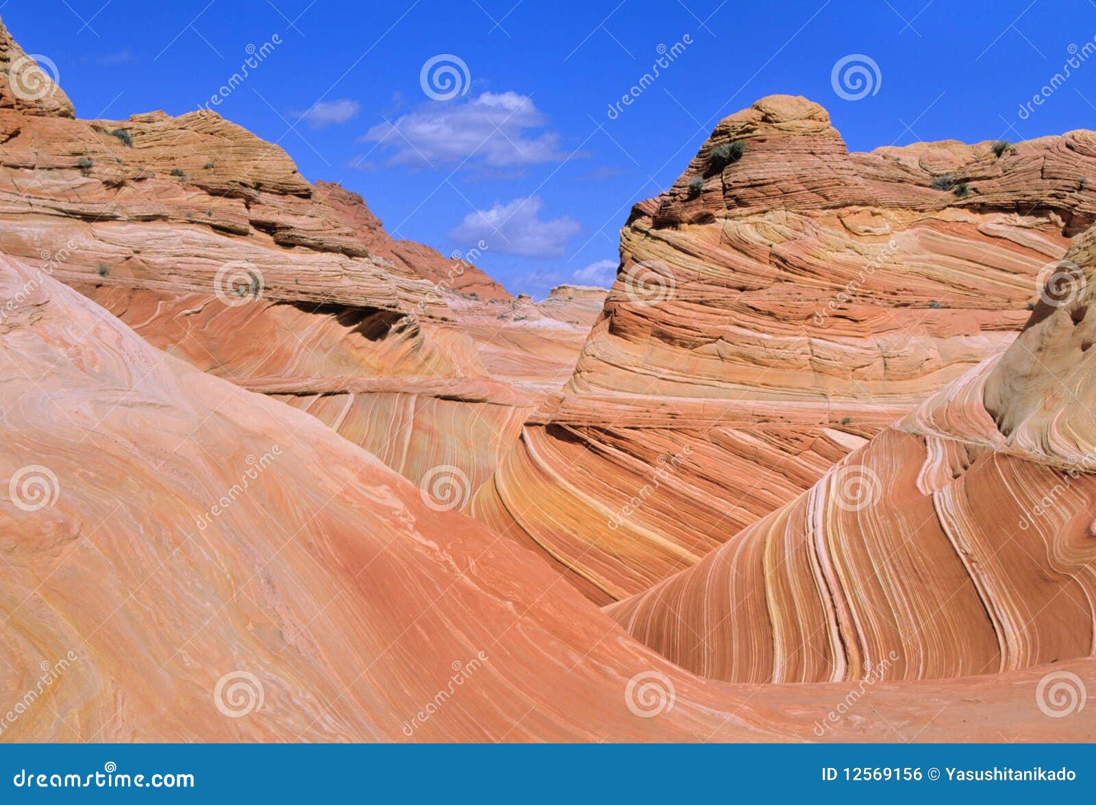 Gorge de butte de coyote photo stock. Image du terrain - 12569156