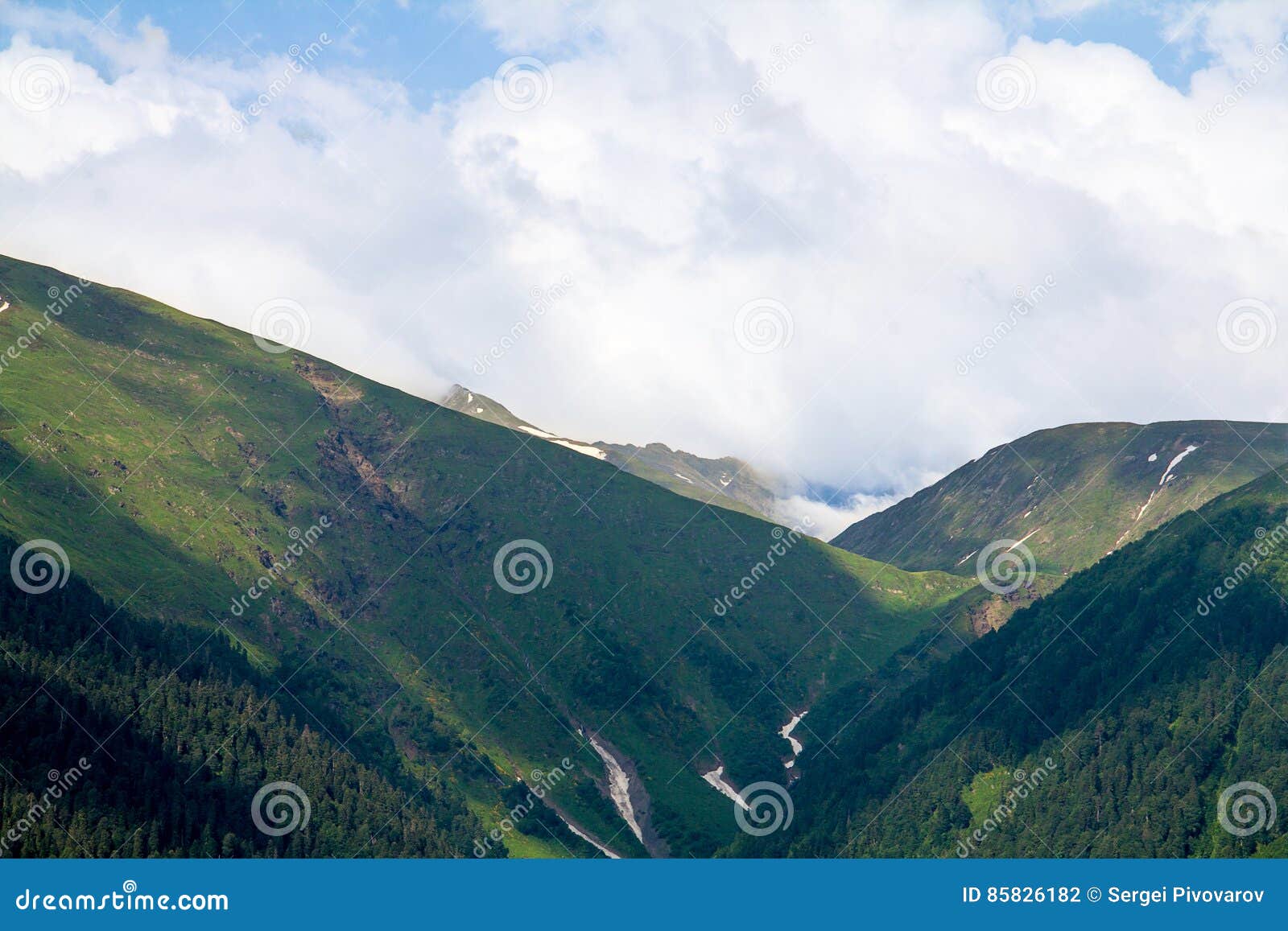 Gorge in the Mountains Forested with Cleft and Snow Silence and Coast ...