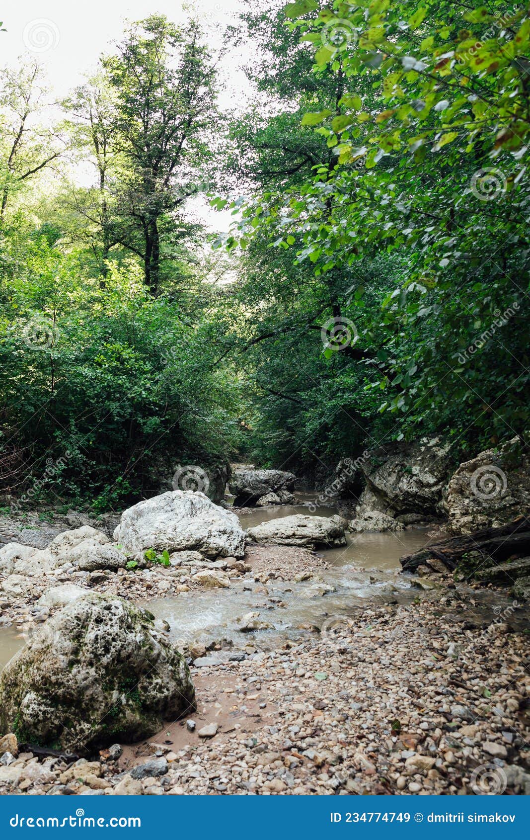Gorge with a Mountain River in a Green Forest Stock Image - Image of ...