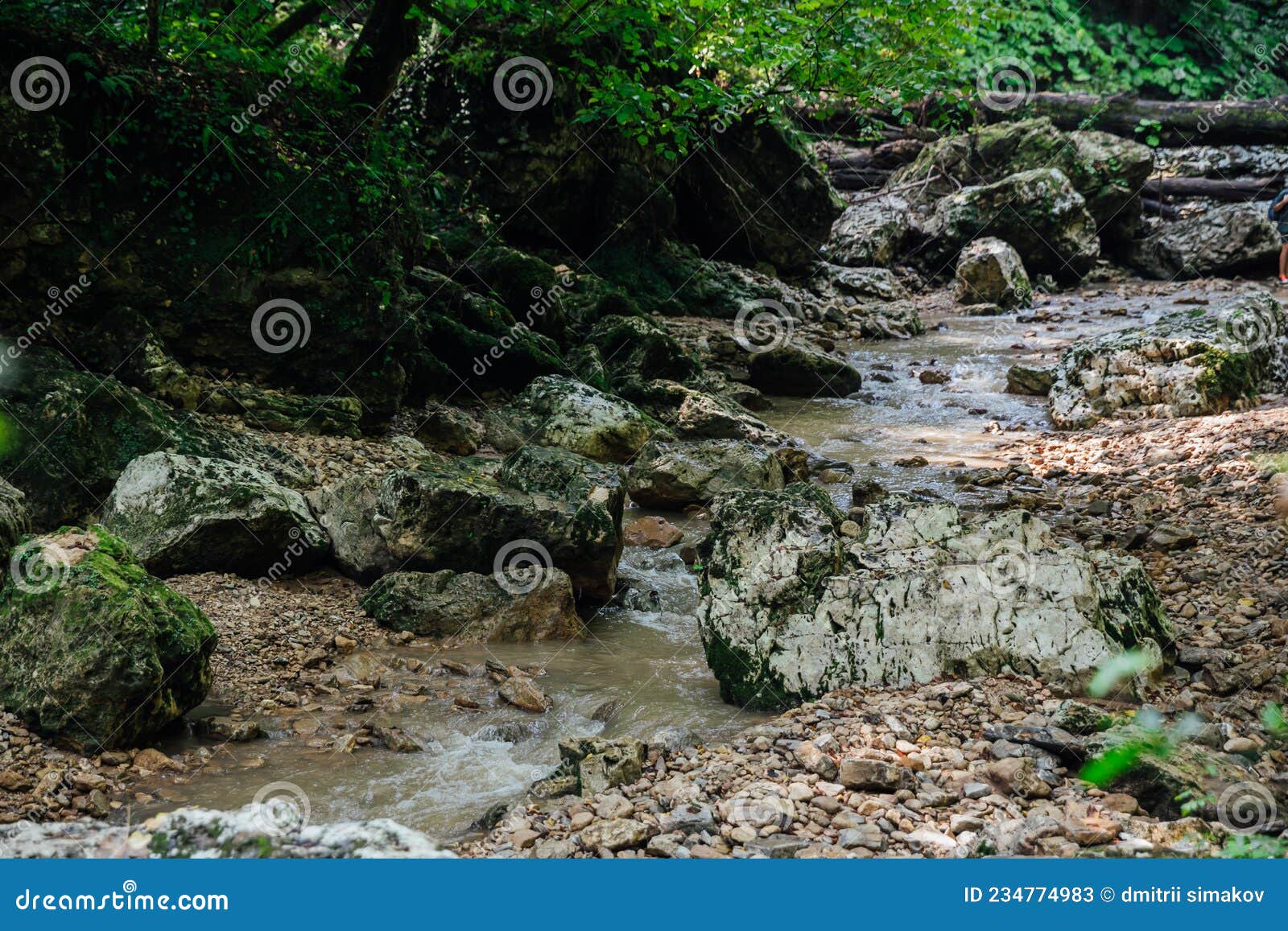 Gorge with a Mountain River in a Green Forest Stock Image - Image of ...