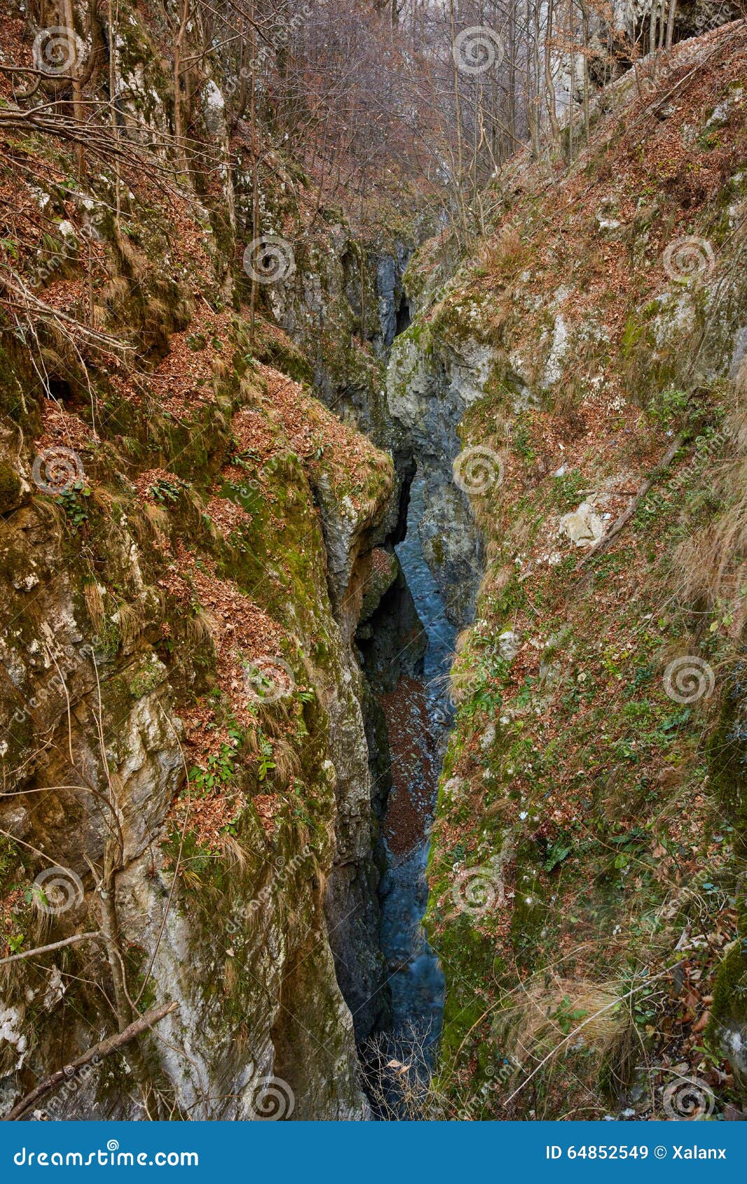 Gorge and a River in the Mountains Stock Image - Image of fresh, river ...