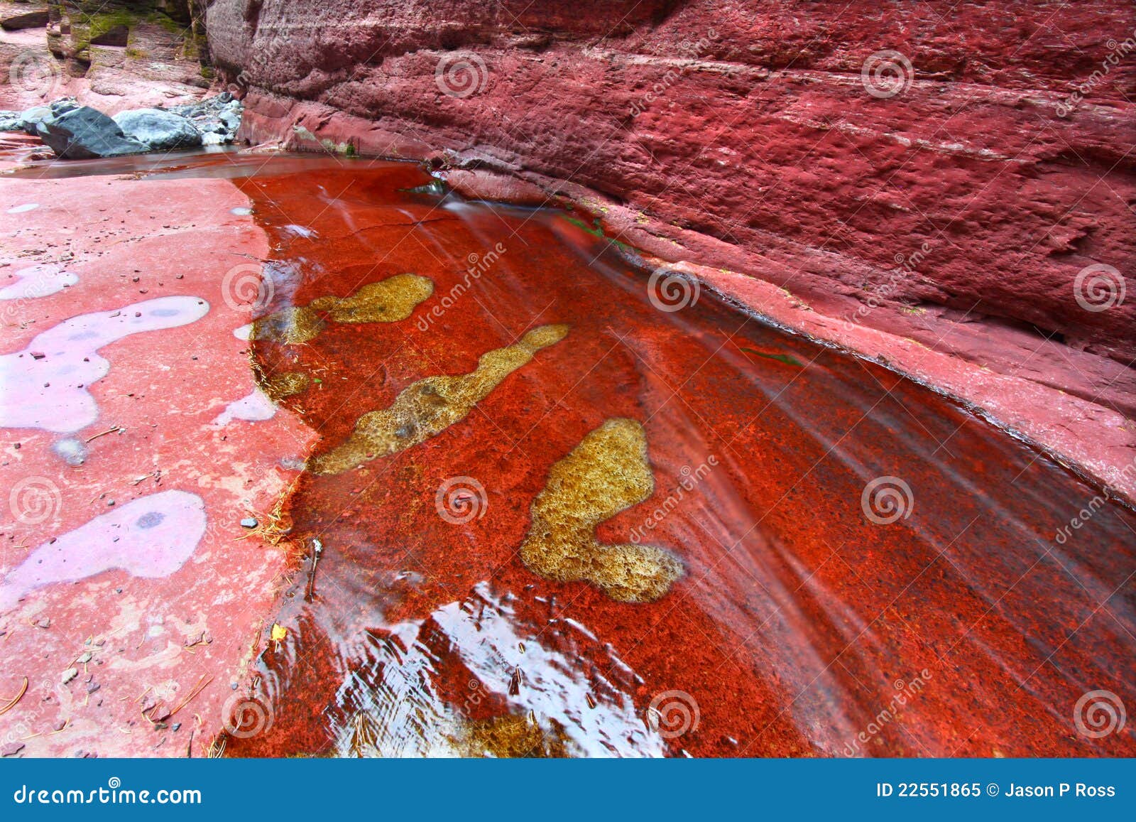 Gorge Rouge De Roche Du Canada Image stock - Image du gorge, hydrologie ...