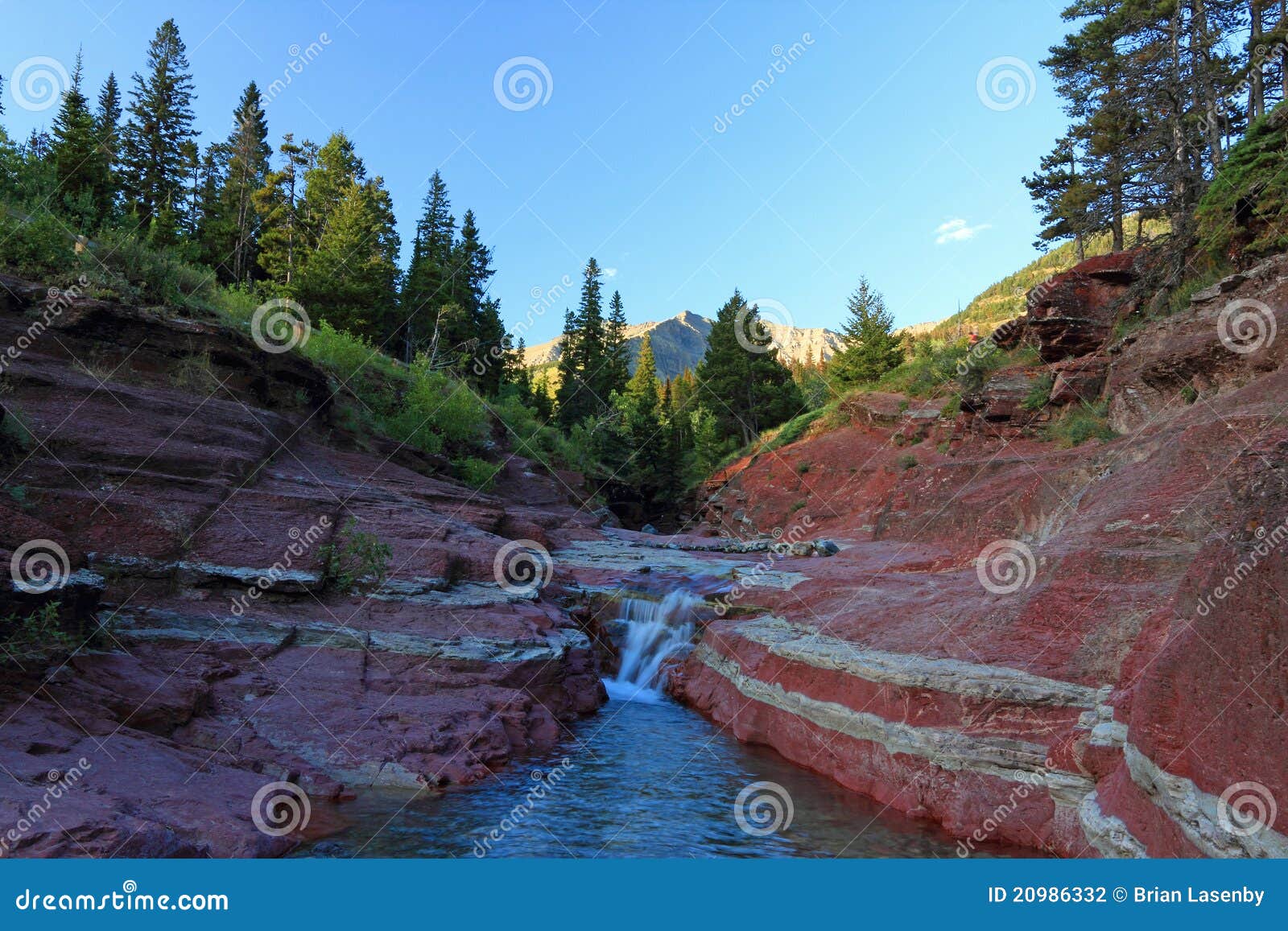 Gorge Rouge De Roche En Montagnes Rocheuses, Alberta Photo stock ...