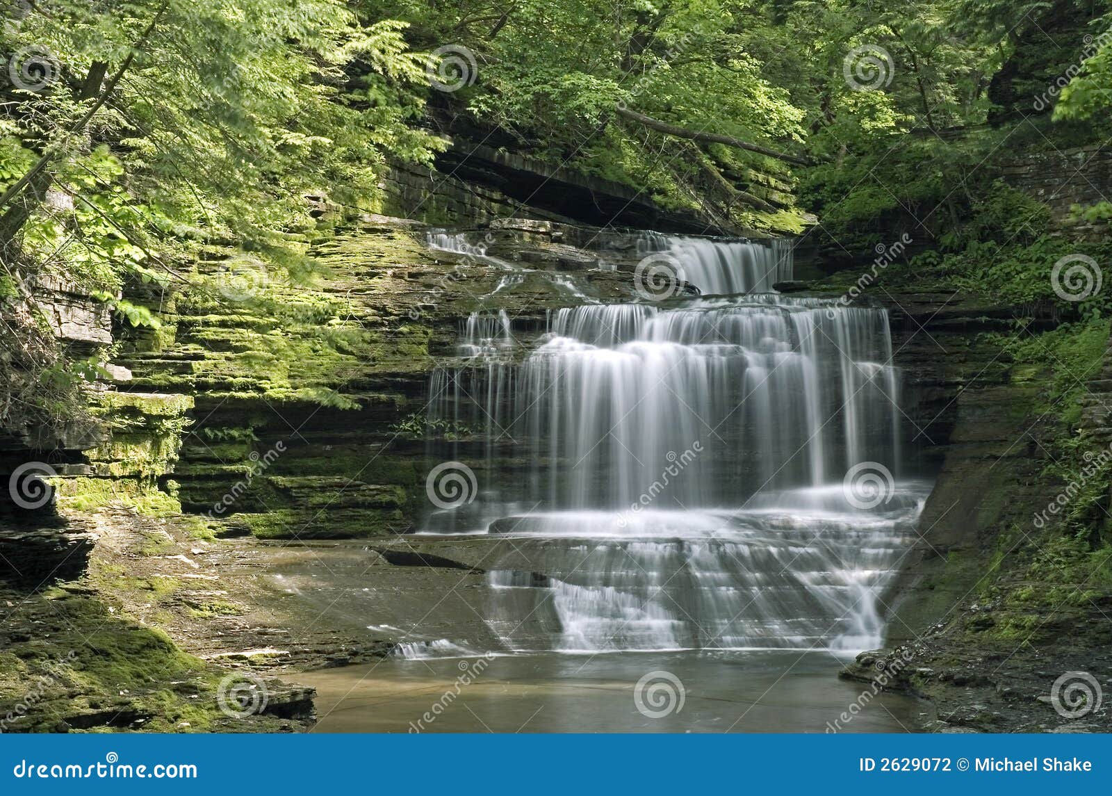 Gorge Waterfall stock photo. Image of nature, trees, creek - 2629072