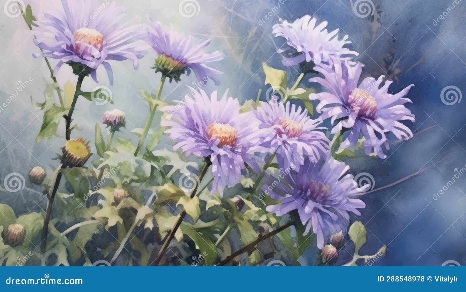 Gorgeous Aster Painted Watercolor Illustration. Stock Illustration ...