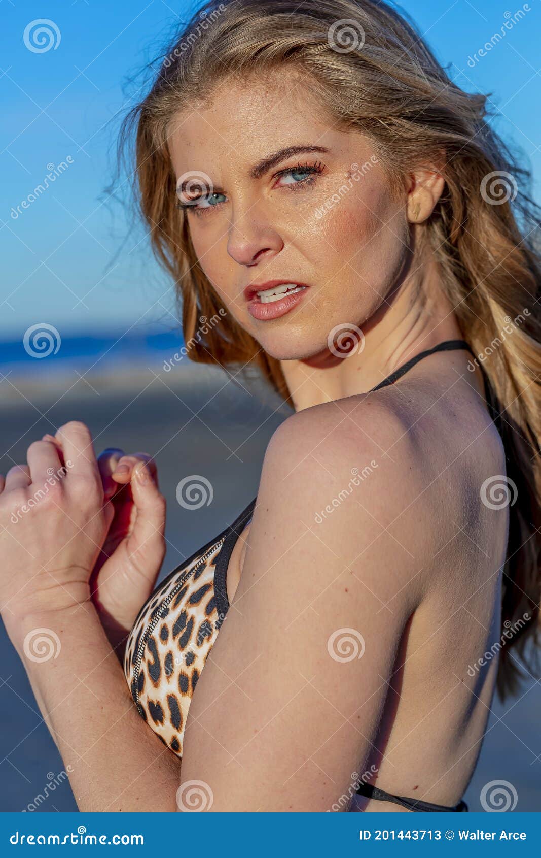 Beautiful Bikini Model Posing In A Beach Environment Stock Image Image Of Pool Recreatioin 7293