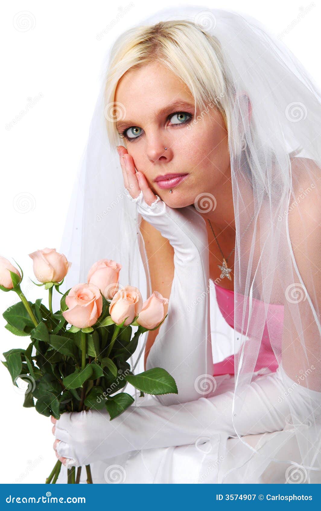 Gorgeous Bride with roses stock image. Image of flower - 3574907