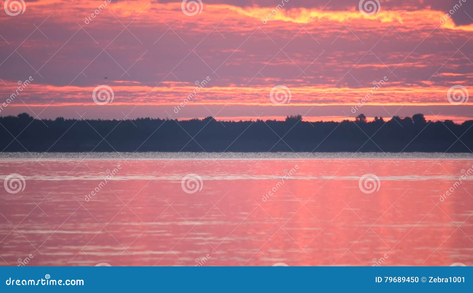 Gorgeous Dawn Over River with Pink Clouds Stock Footage - Video of ...