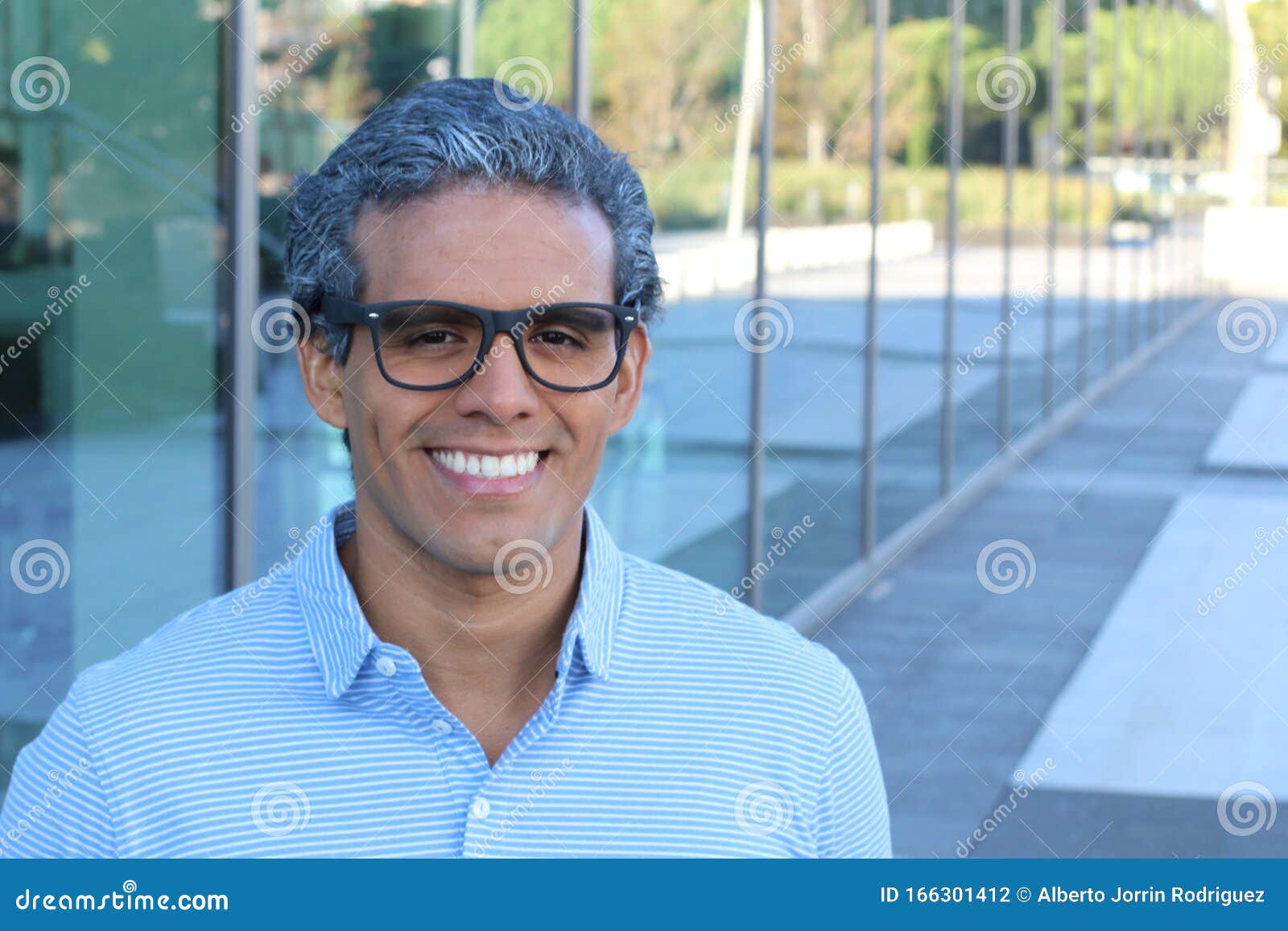 Gorgeous Ethnic `silver Fox` Smiling Stock Photo - Image of adult ...