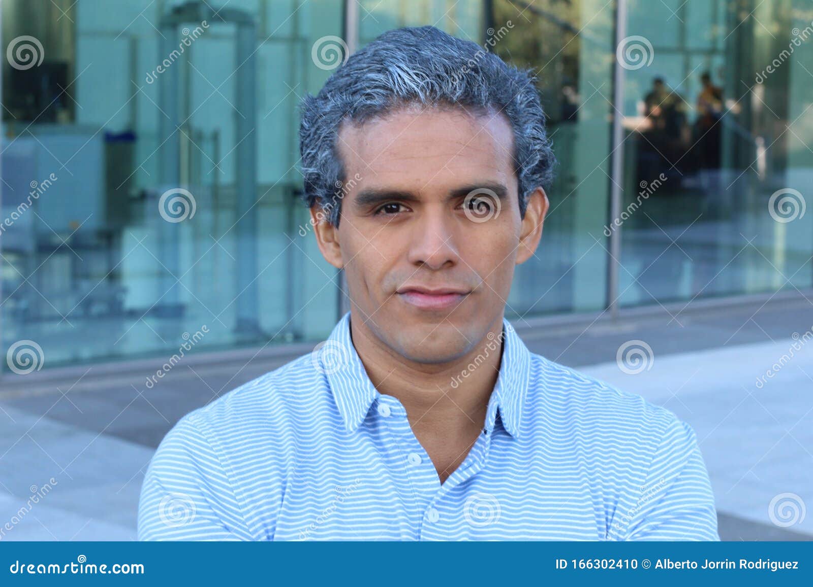 Gorgeous Ethnic `silver Fox` Smiling Stock Photo - Image of gray ...