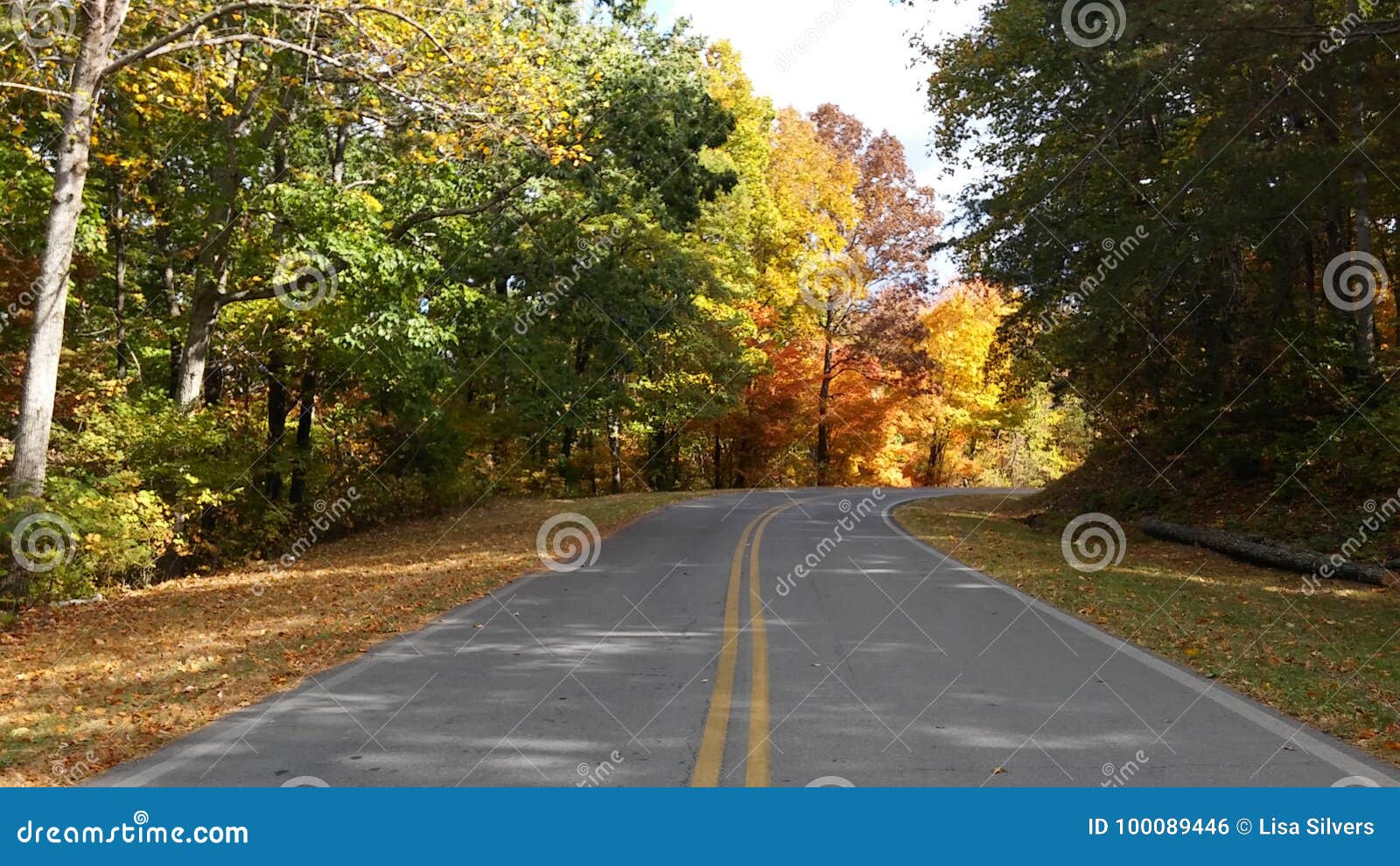 Country Roads stock photo. Image of country, roads, gorgeous - 100089446
