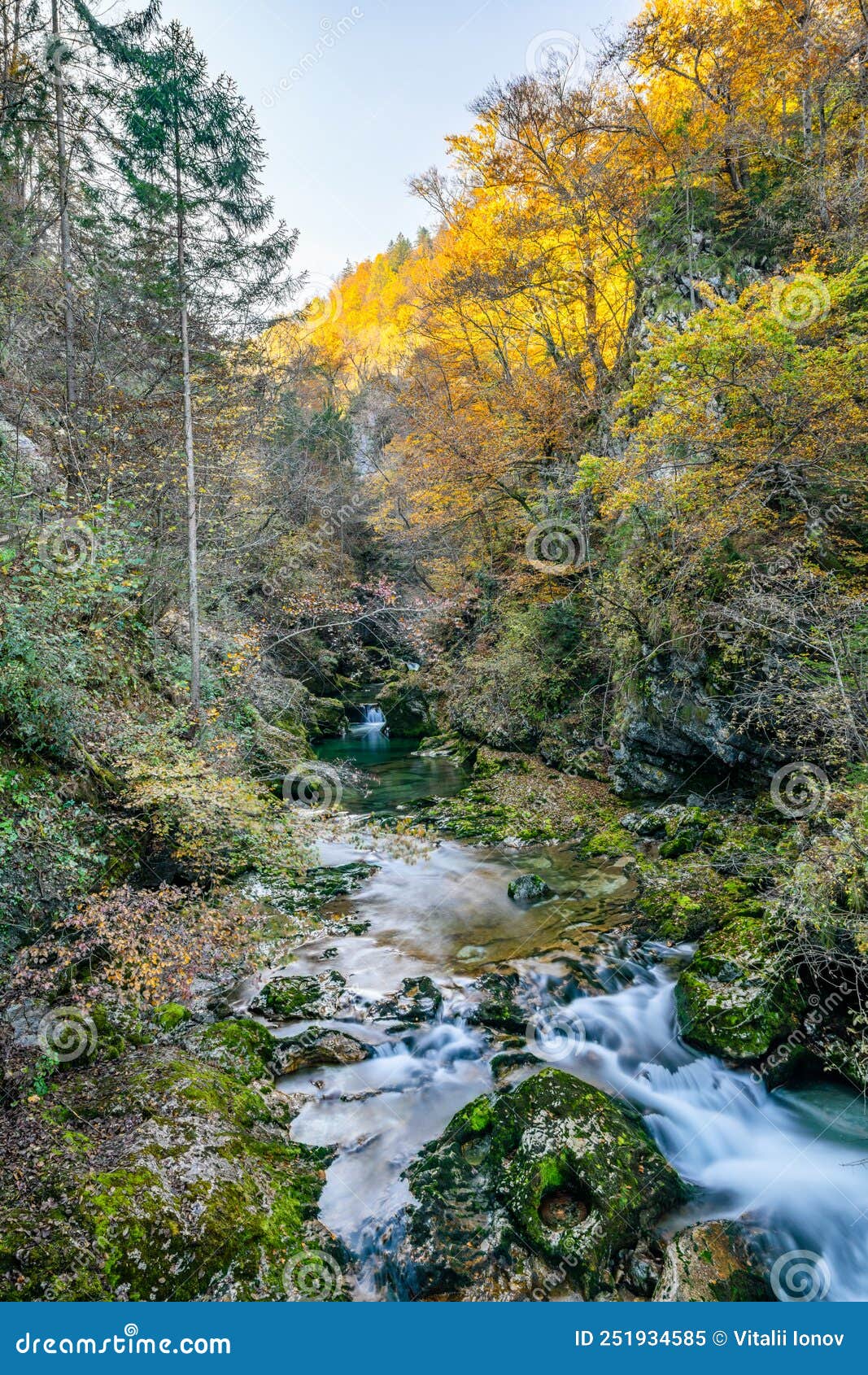 Gorgeous Fall Scene. the Fall Colors Look Great in the Deep Woods. View ...