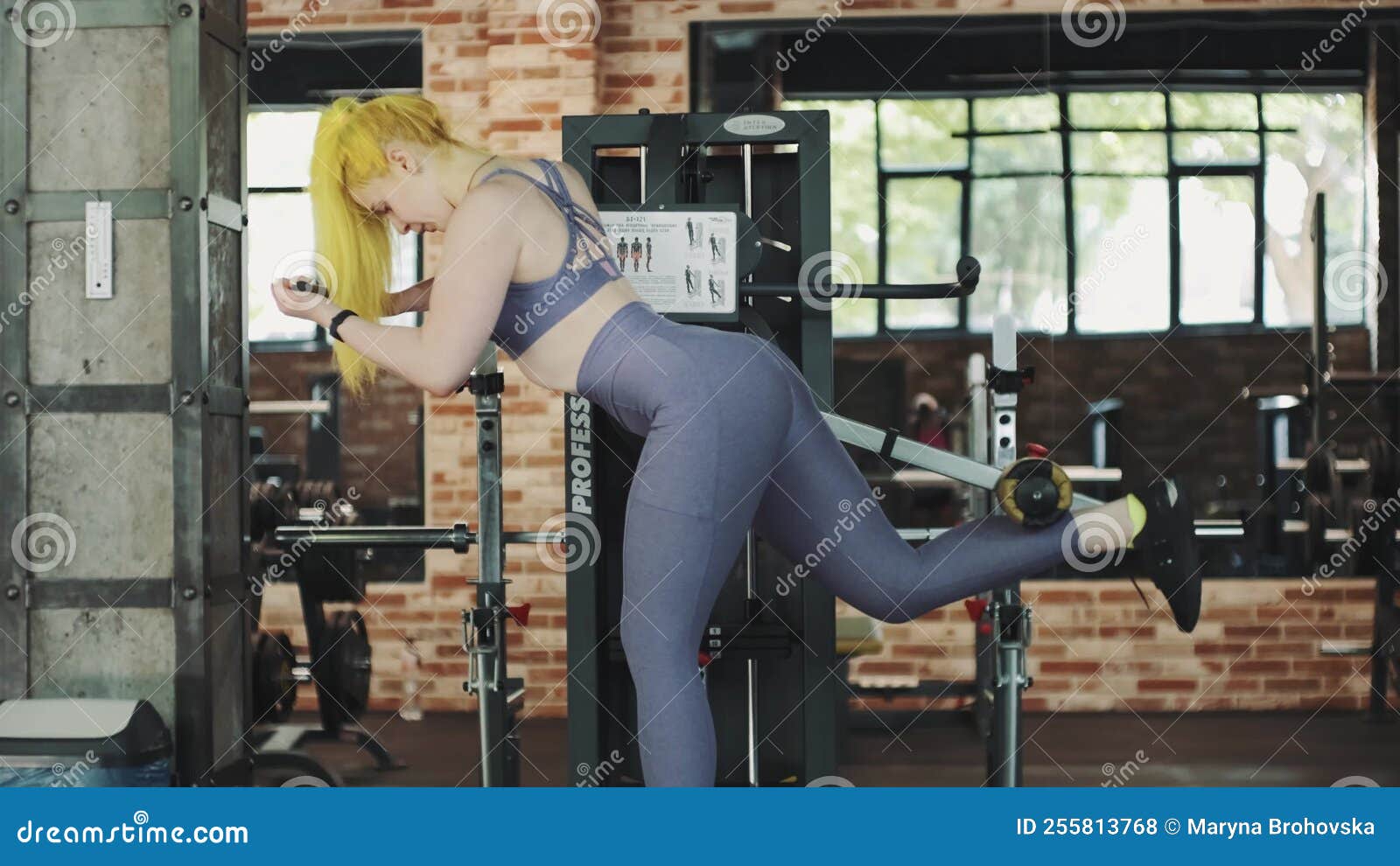 Gorgeous Female Professional Bodybuilder Doing Workout Exercises in Gym ...