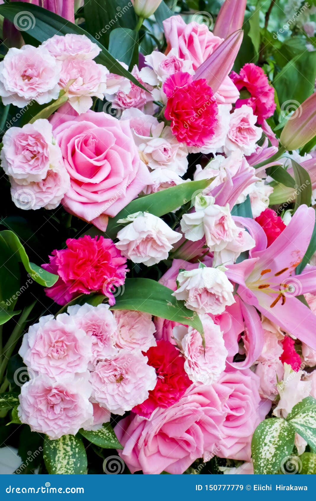 Gorgeous flowers stock image. Image of bright, luxurious - 150777779