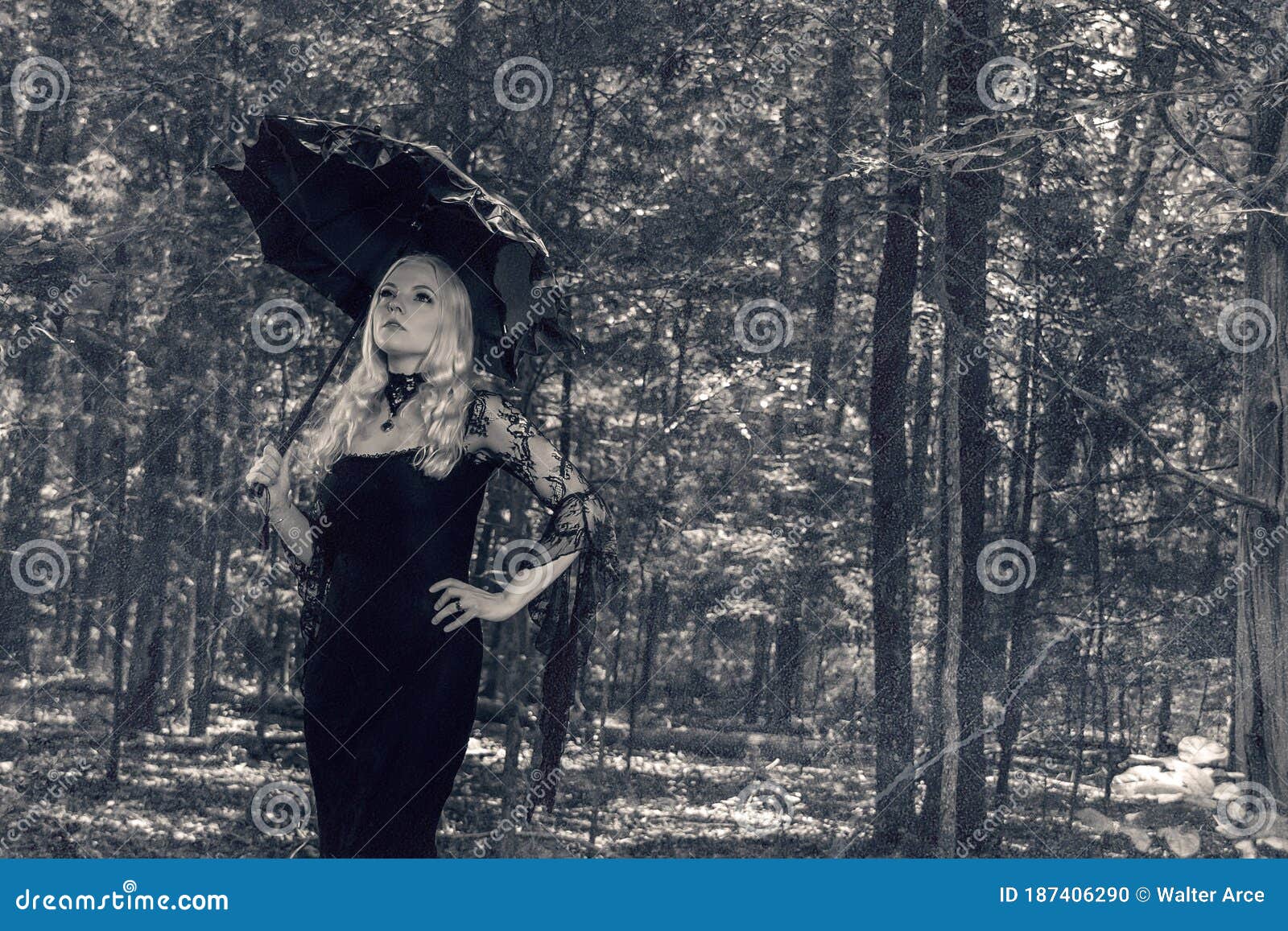 A Lovely Gothic Model Acts in a Forest Environment Stock Photo - Image ...