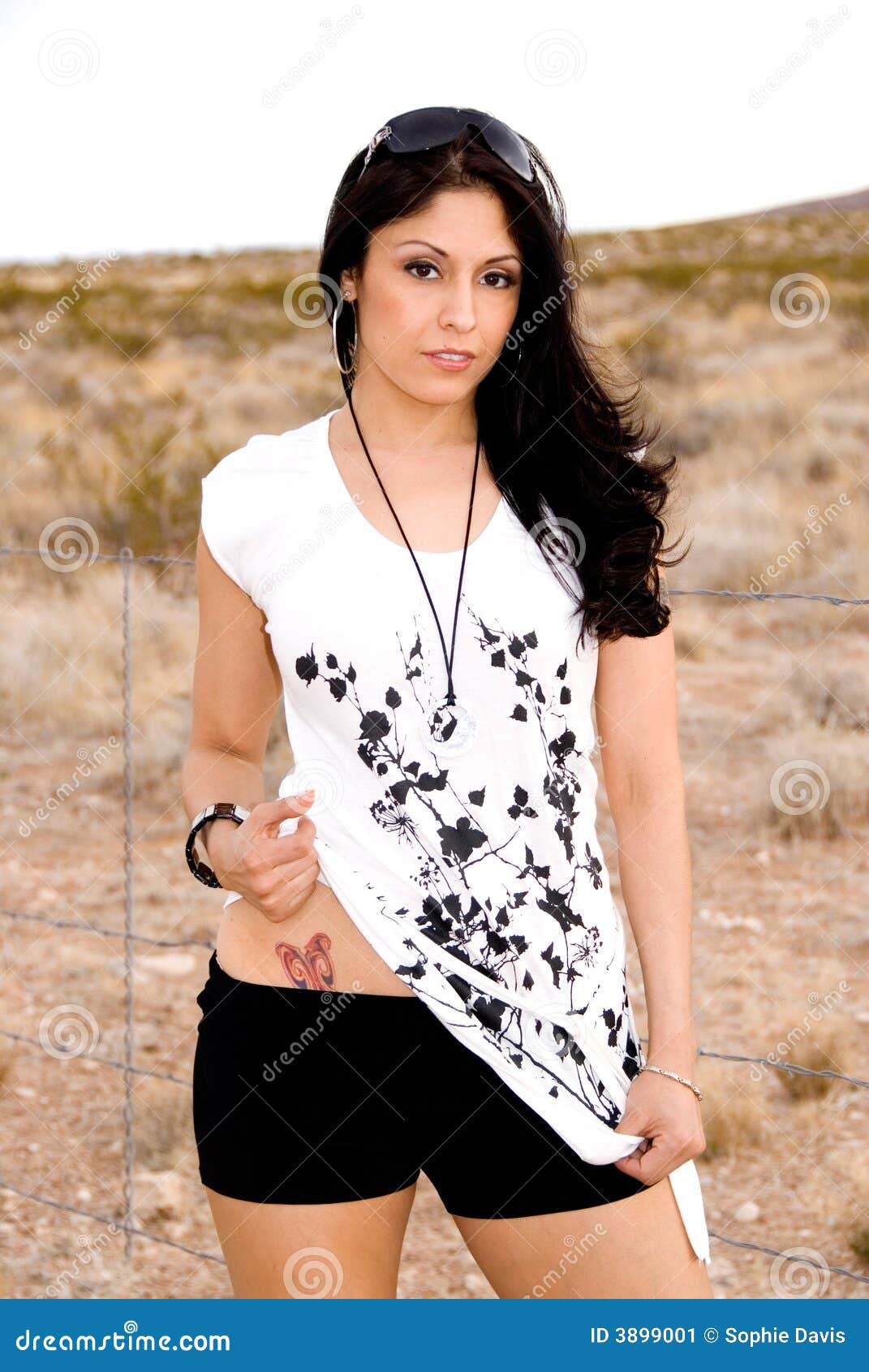 Gorgeous Hispanic woman. stock image. Image of woman, mexican - 3899001