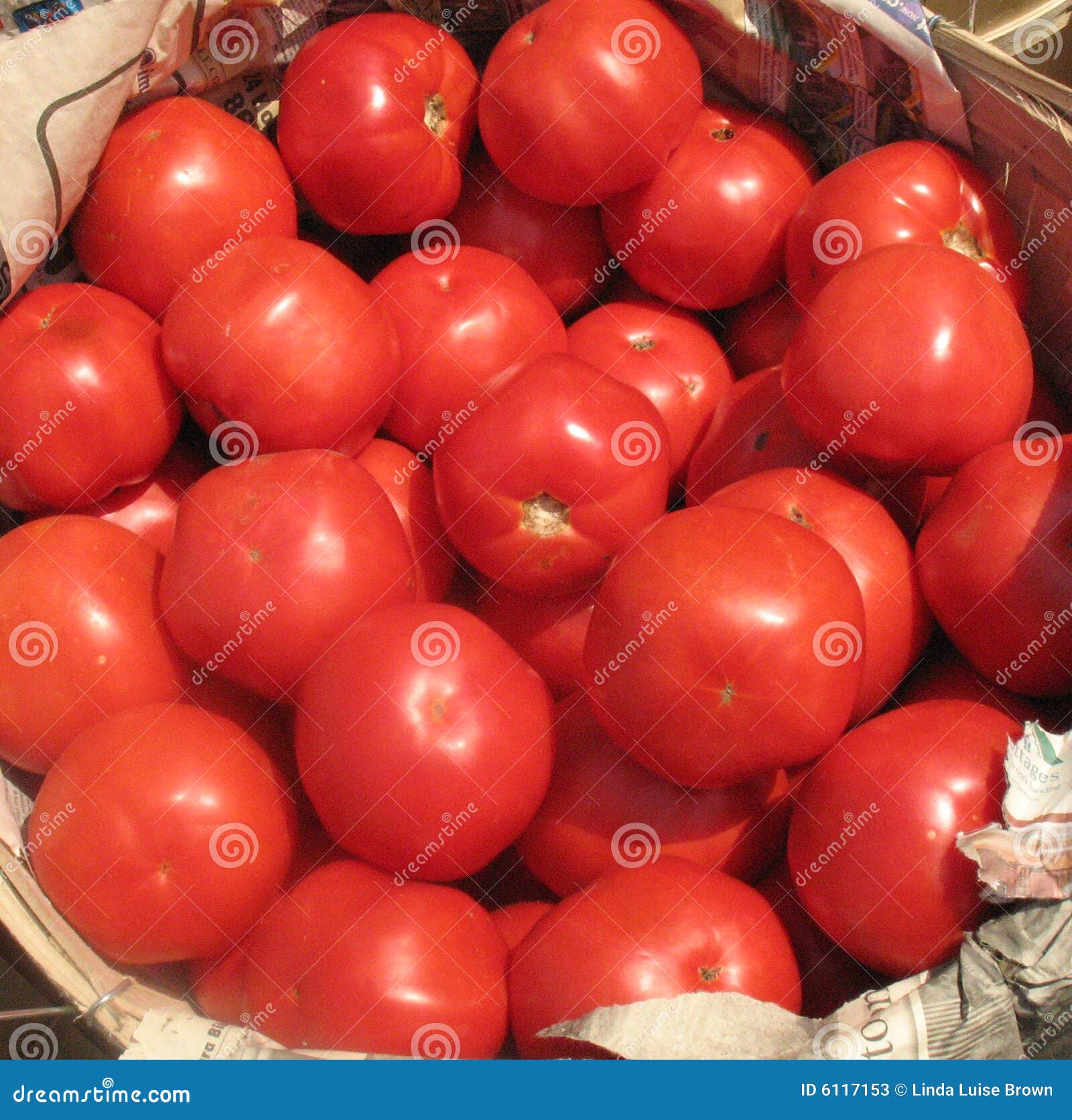 Gorgeous Homegrown Tomatoes Stock Image - Image of growing, fruit: 6117153