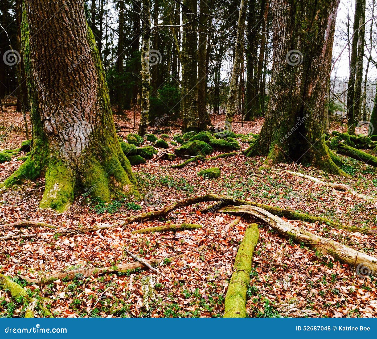 Gorgeous Landscape Rygge Ostfold Stock Photo - Image of rygge ...