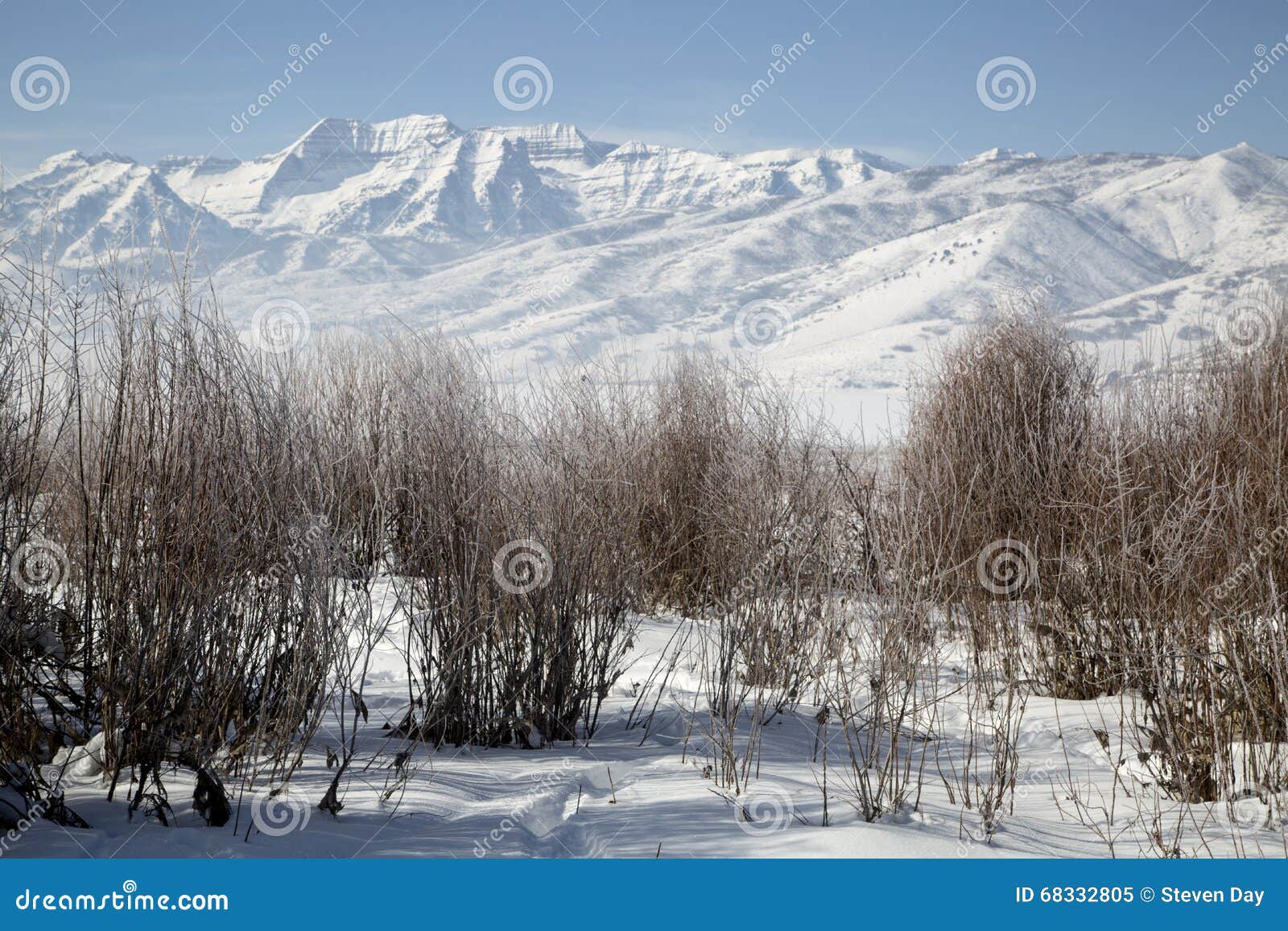 Gorgeous Mount Timpanogas in the Wasatch Back in Utah Stock Image ...