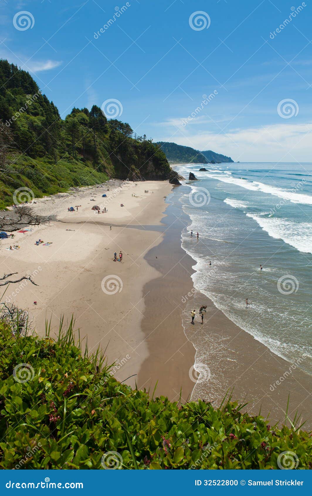 Gorgeous Oregon beach stock photo. Image of tree, pine - 32522800