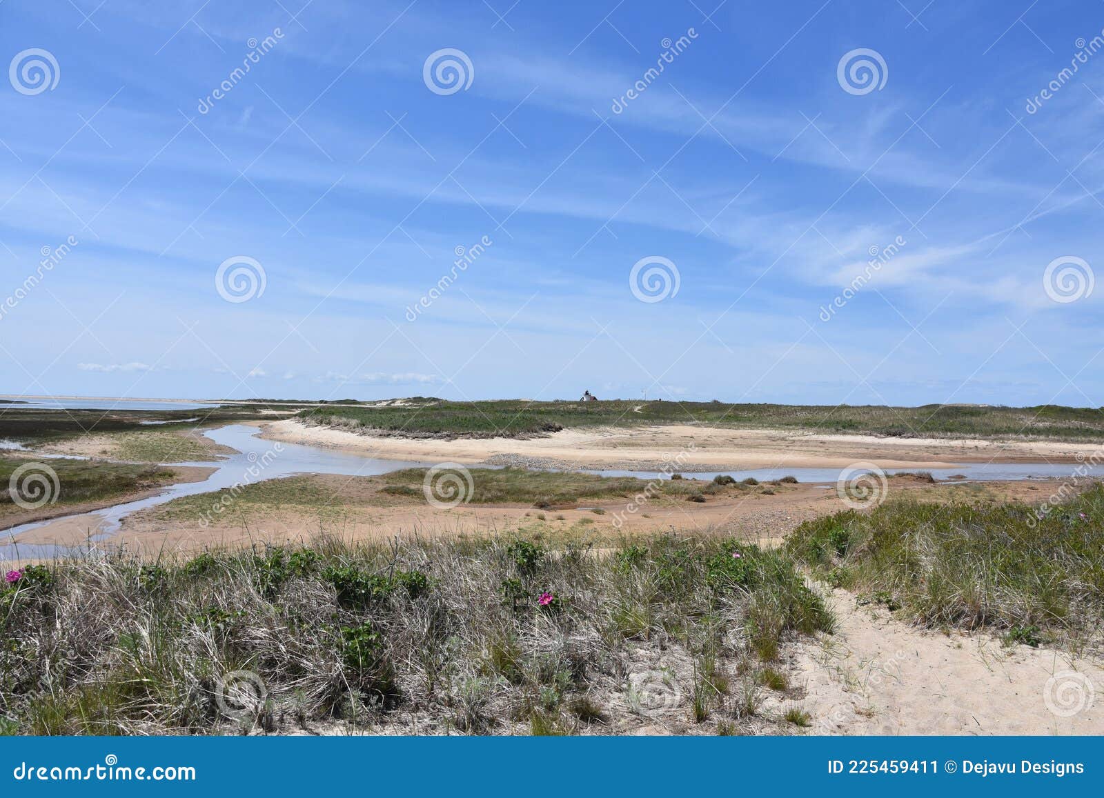 Gorgeous Scenic View of Tidal Marsh Along the Cape Stock Image - Image ...